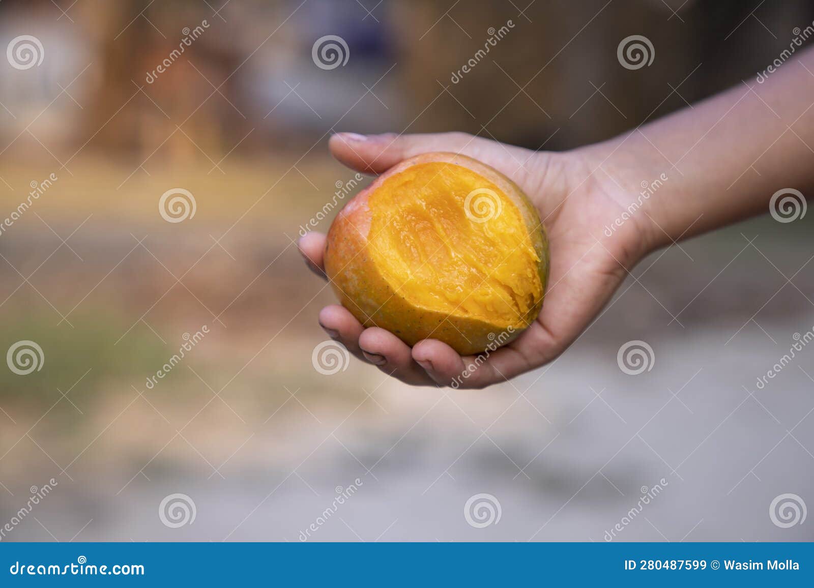 Hand-holding Mango Bite on Blurred Background, Selective Focus with ...
