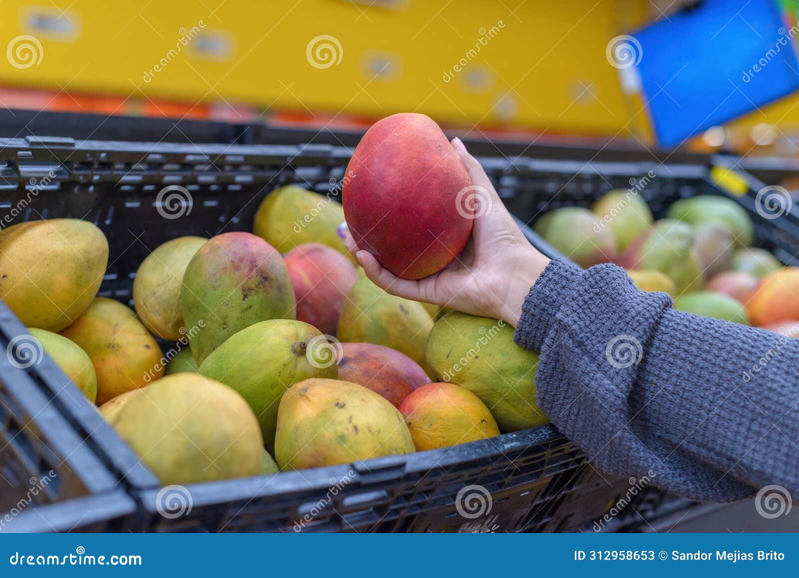 Hand Holding a Mango at a Supermarket Stock Image - Image of vegetarian ...