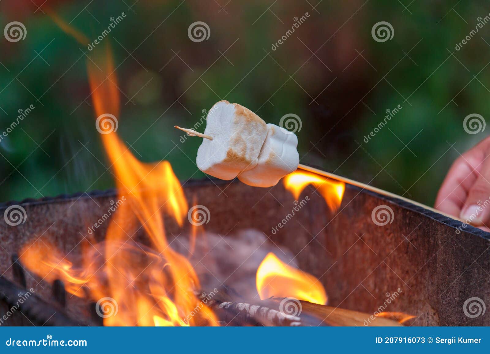 Hand Holding Marshmallow on Stick Above the Fire Stock Image - Image of ...