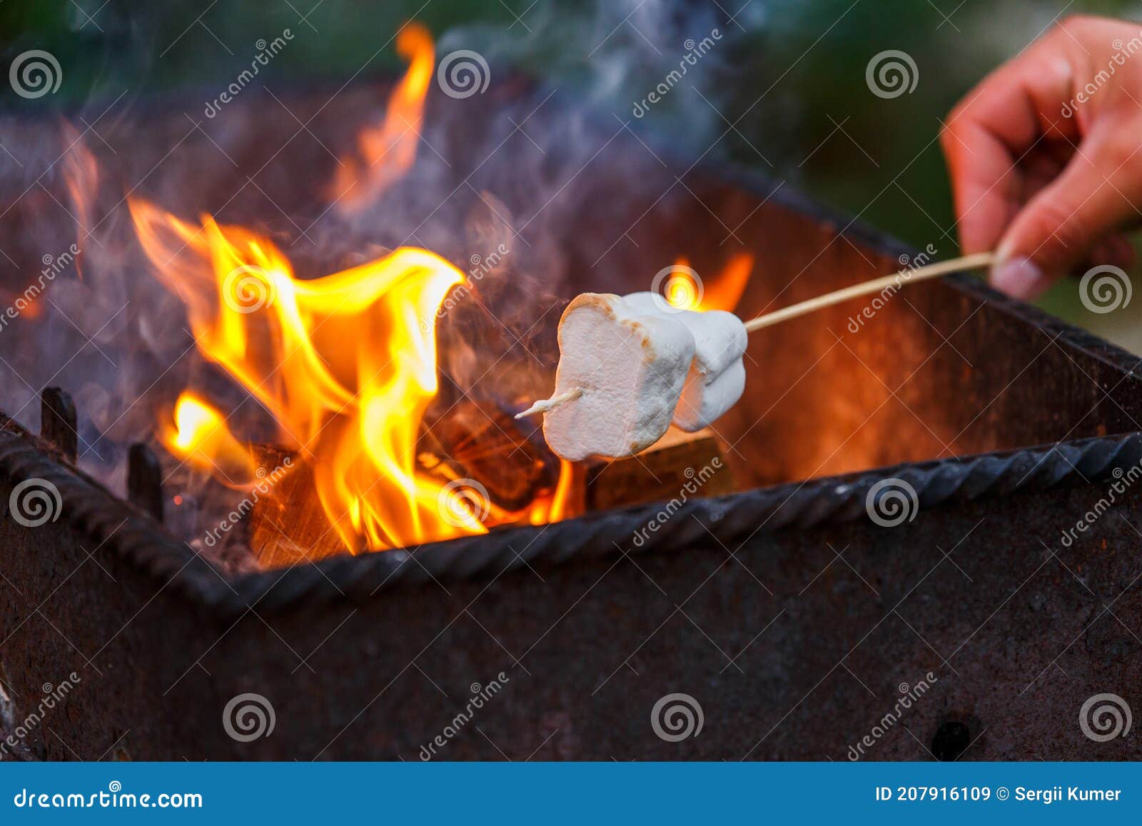 Hand Holding Marshmallow on Stick Above the Fire Stock Image - Image of ...