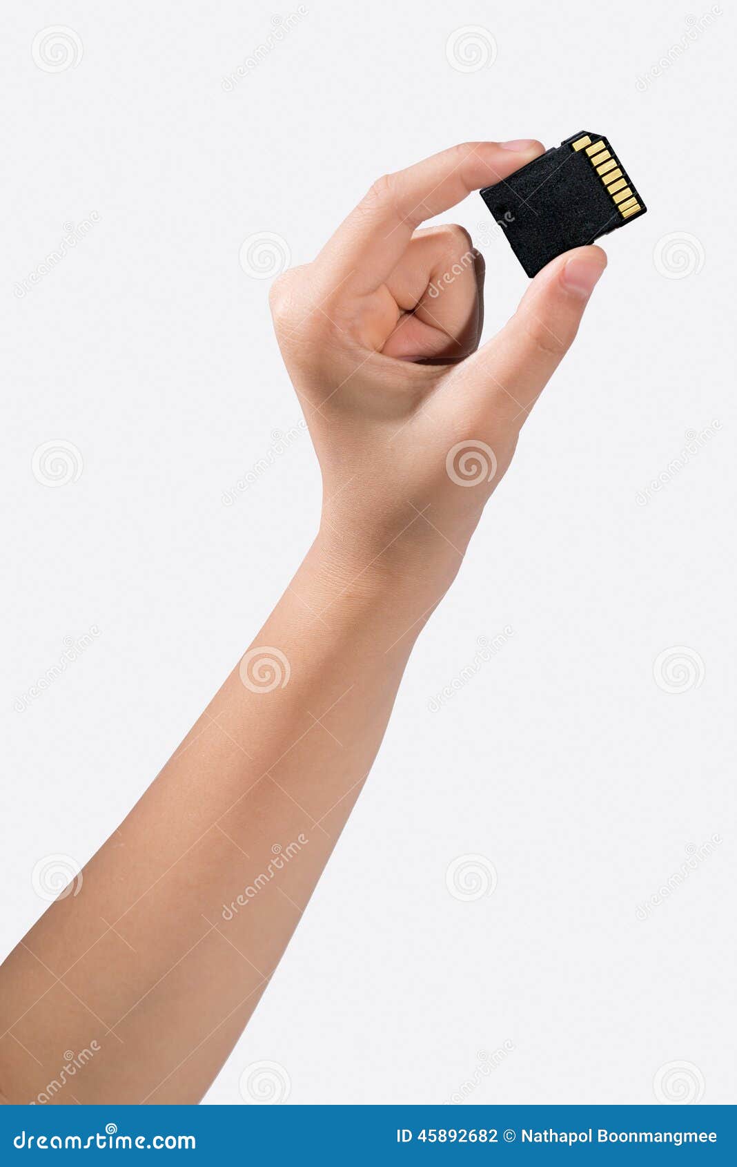 Hand Holding Memory Card Isolated on White Stock Photo - Image of white ...