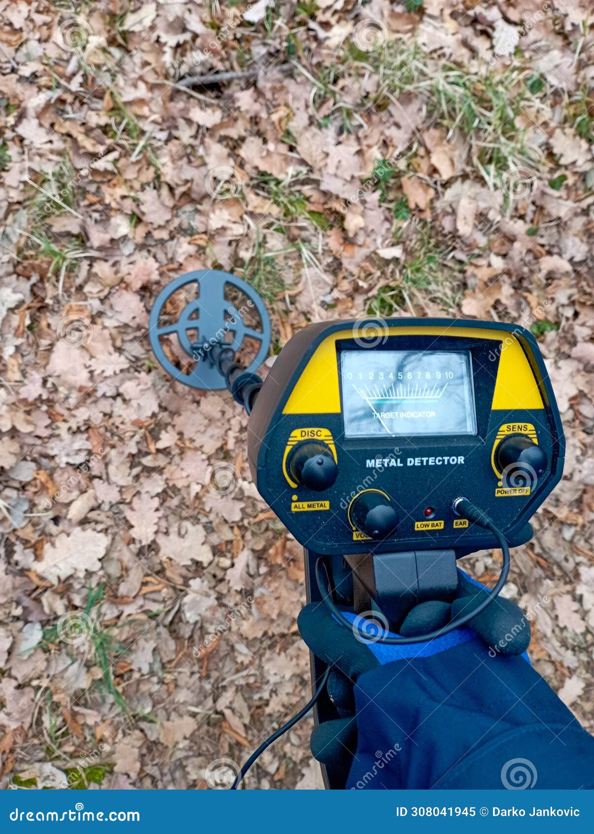 Hand Holding Metla Detector in the Forest Stock Image - Image of ...