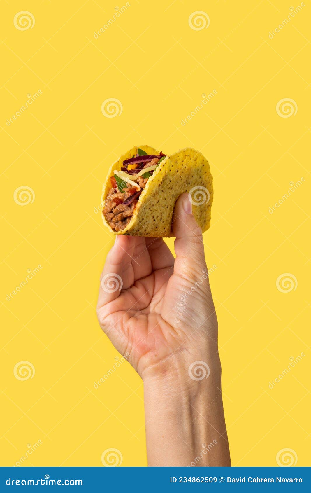Hand Holding a Mexican Taco Stock Image - Image of taco, beef: 234862509