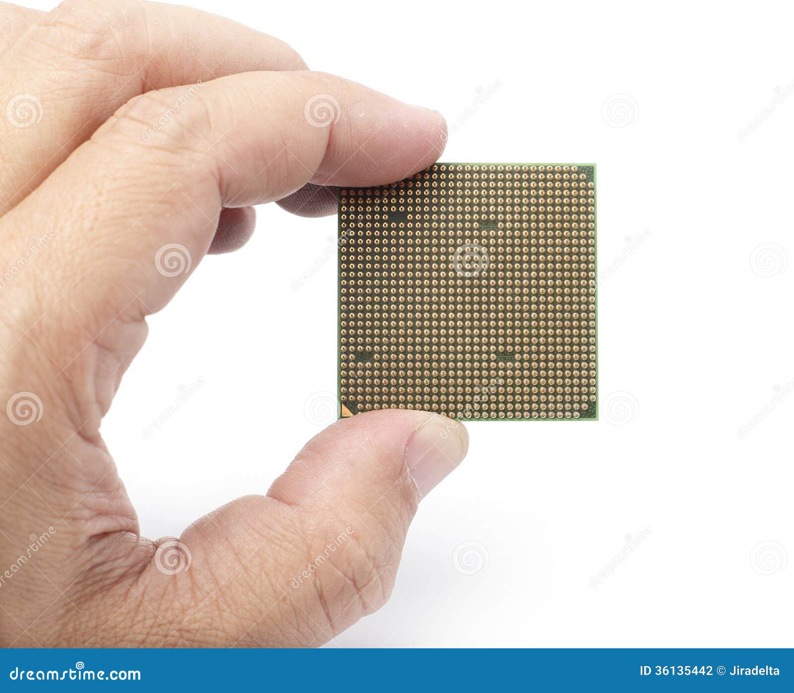 Hand Holding Microchip Computer on White Background Stock Photo - Image ...