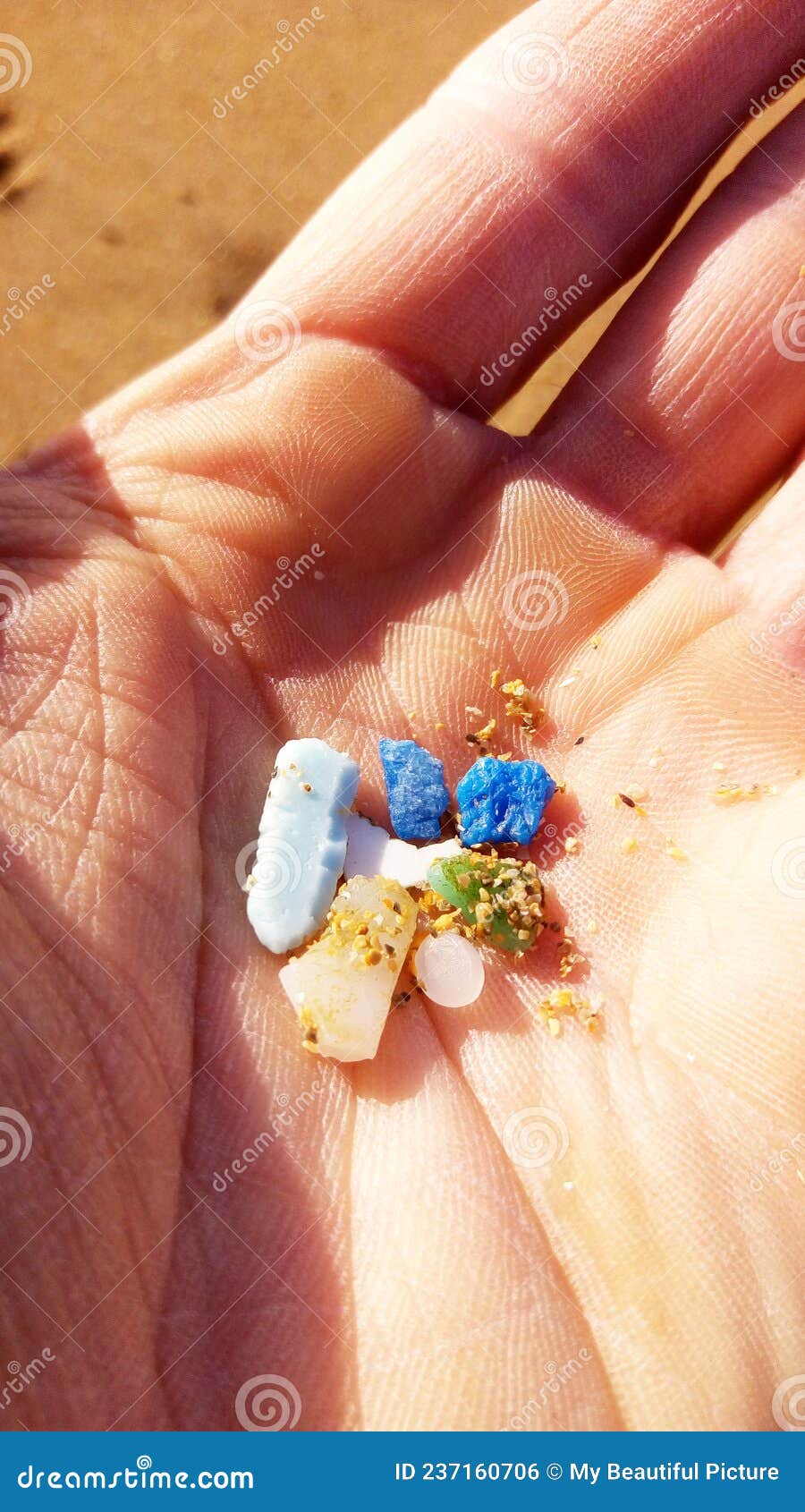 Hand Holding Microplastic at the Beach Stock Photo - Image of organ ...