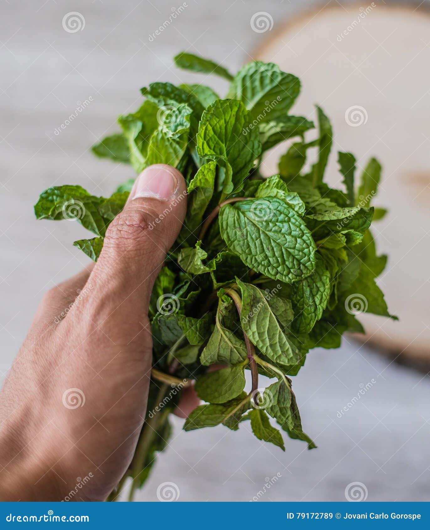 Hand Holding Mint stock image. Image of food, mint, copy - 79172789