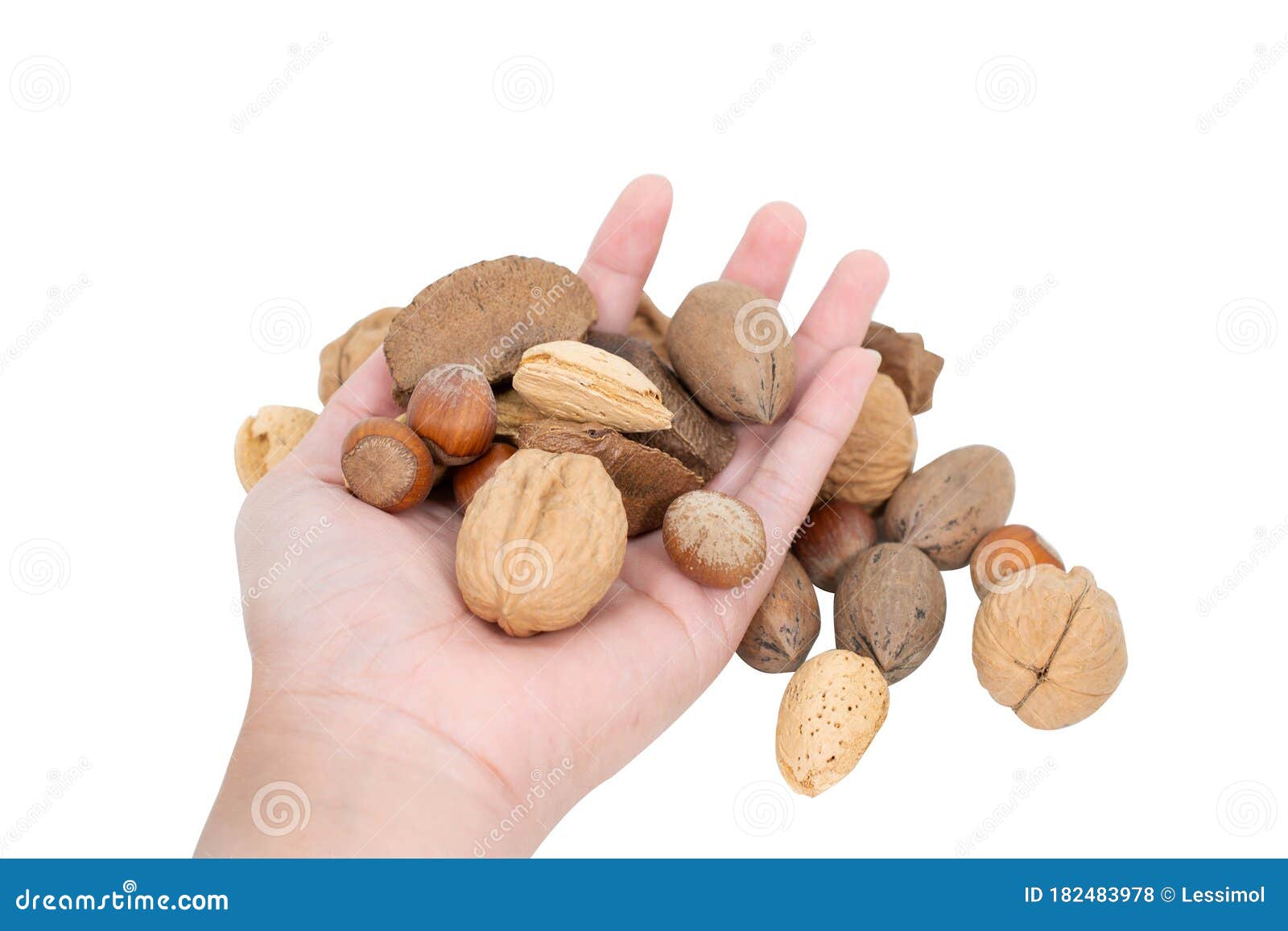 Hand Holding Mixed Nuts Isolated on White Background Stock Photo ...