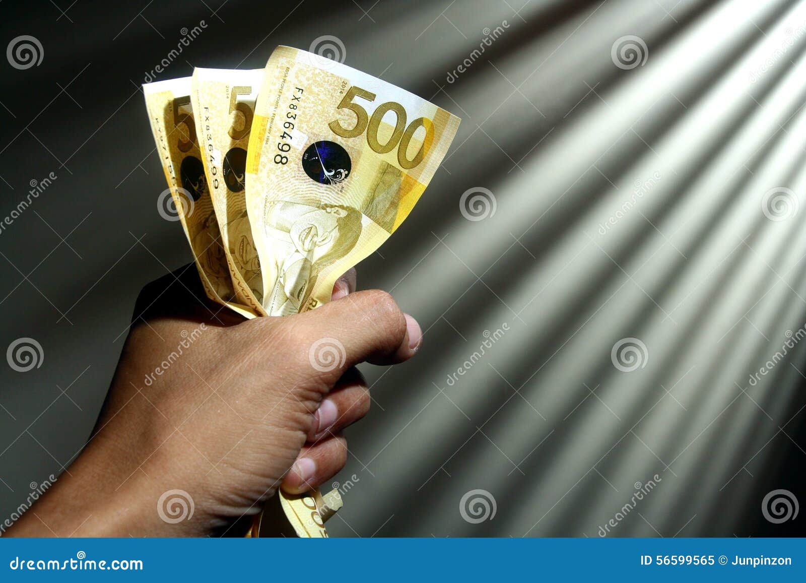 Hand holding money stock image. Image of cost, financial - 56599565