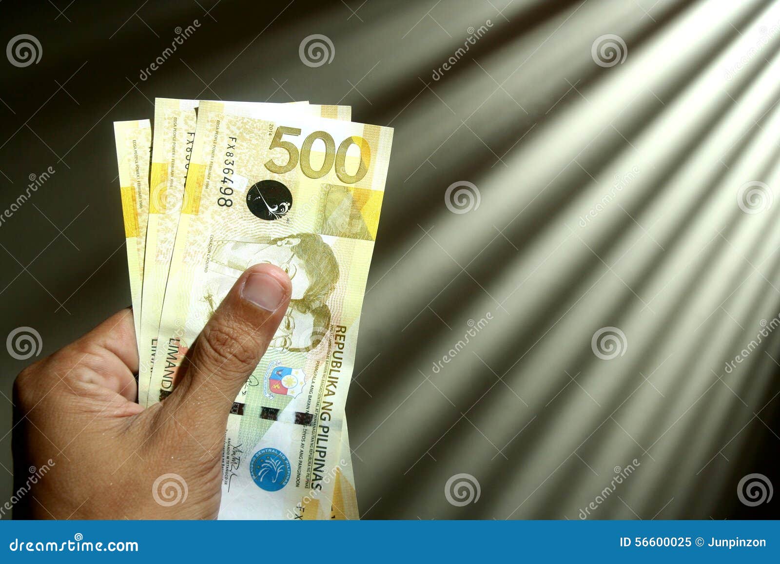 Hand holding money stock image. Image of bill, cash, fingers - 56600025