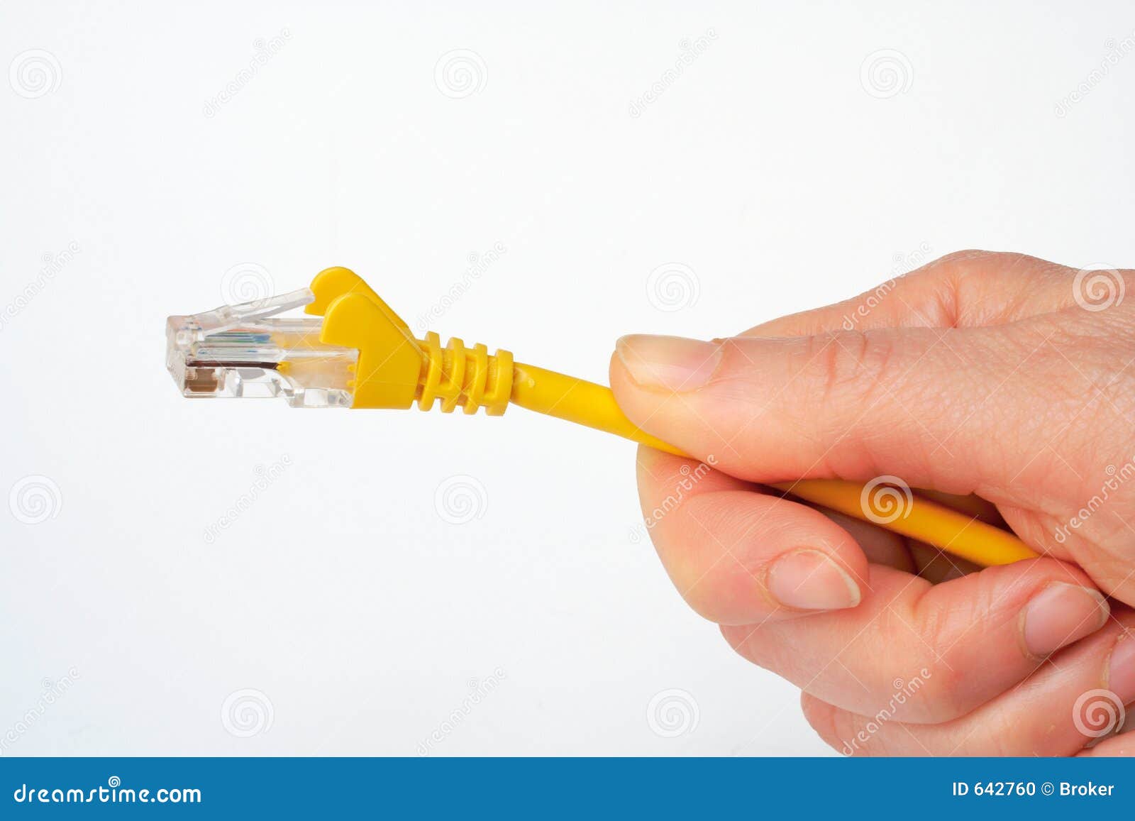 Hand holding network cable stock photo. Image of rubber - 642760