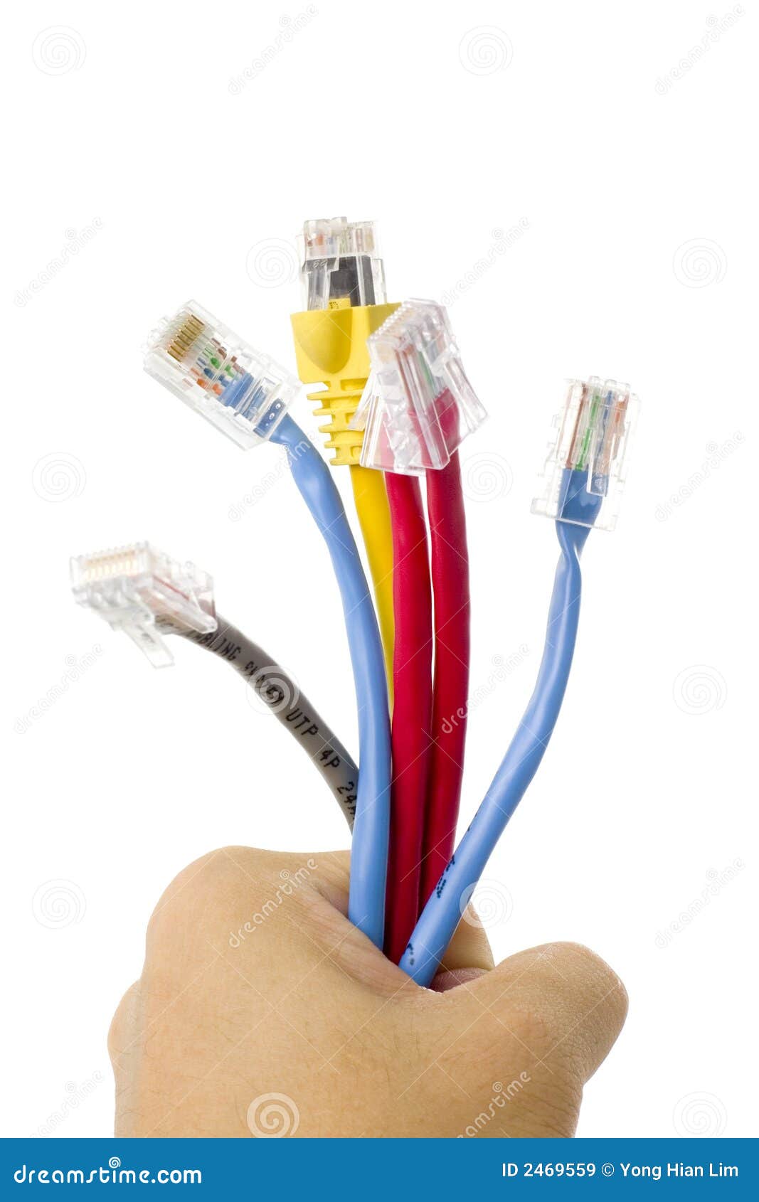 Hand Holding Network Cables Stock Image - Image of isolated, technology ...