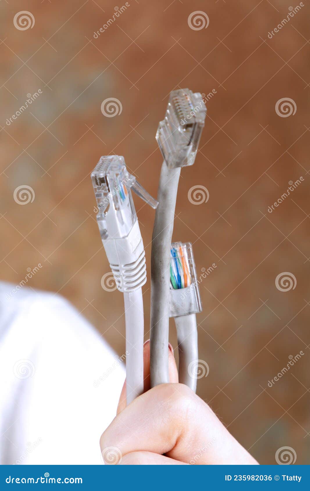Hand Holding Network Connectors Stock Photo - Image of equipment, hand ...