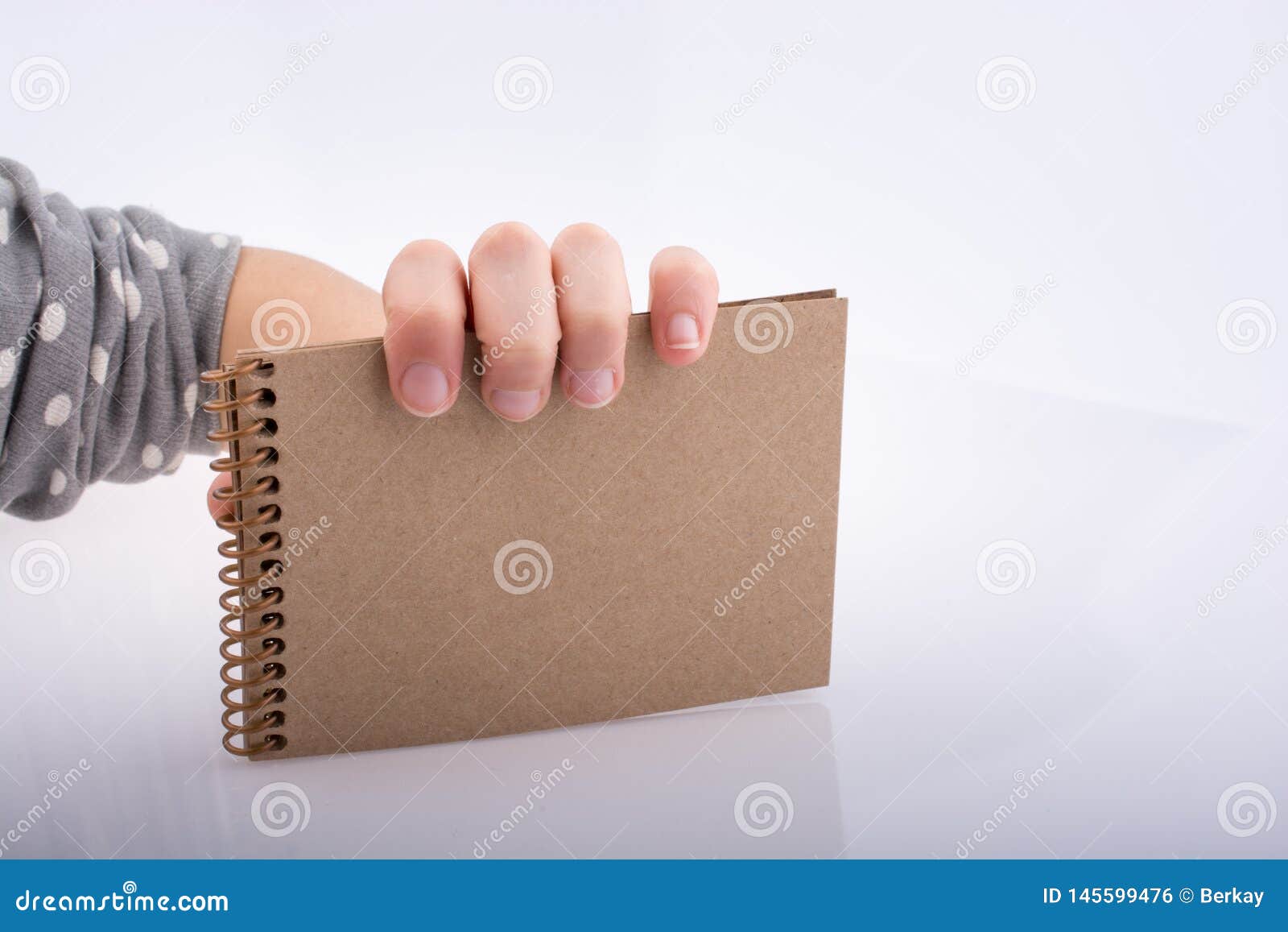 Hand holding a notebook stock photo. Image of blank - 145599476
