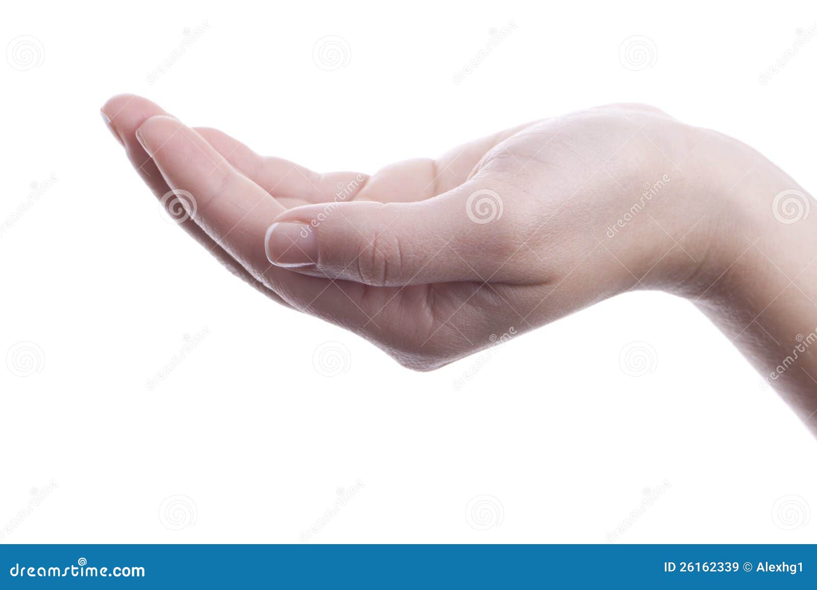 Hand holding nothing stock image. Image of hold, empty - 26162339