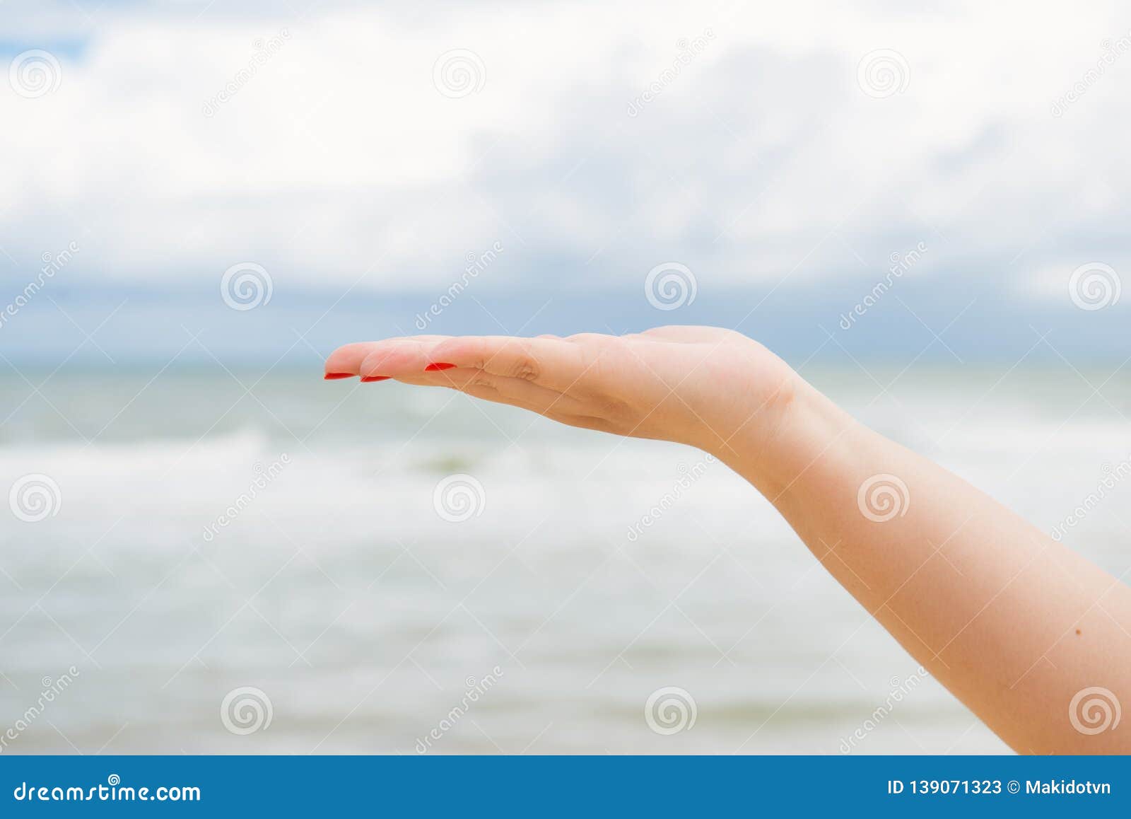 Hand Holding Nothing Stock Images - Download 1,306 Royalty Free Photos