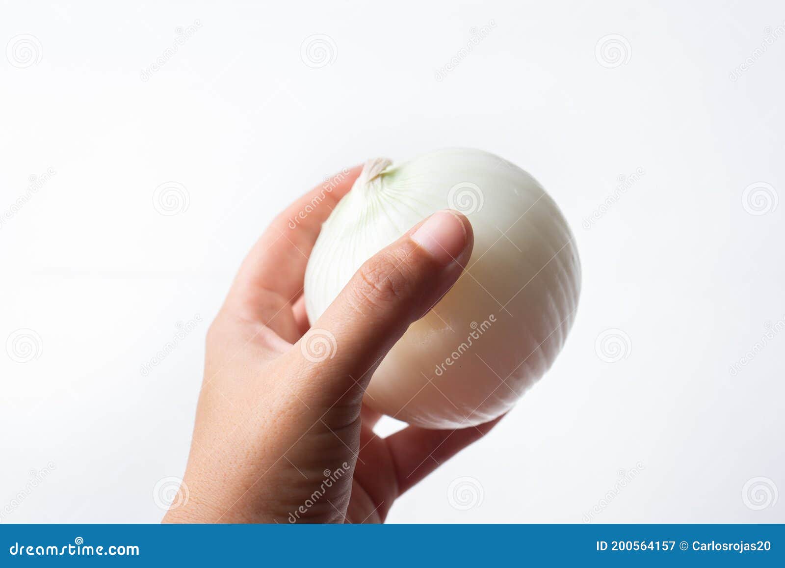 Hand holding white onion stock image. Image of healthy - 200564157