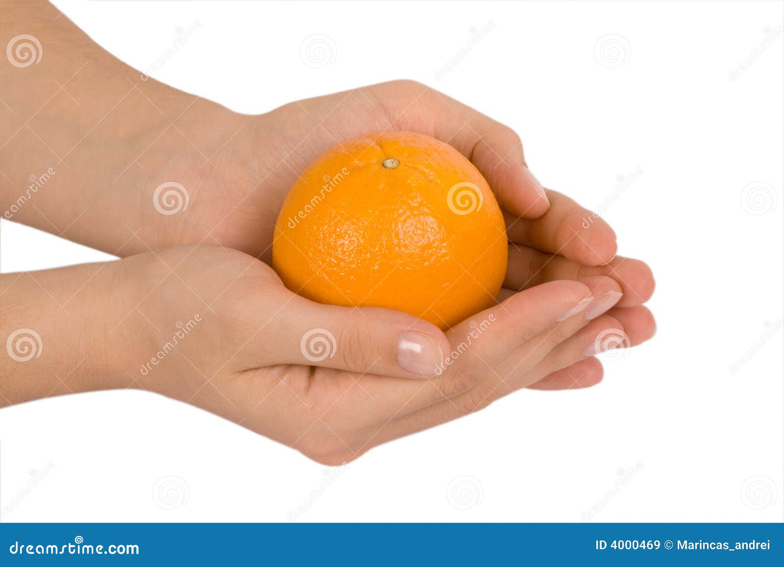 Hand holding orange stock image. Image of hand, skin, thumb - 4000469