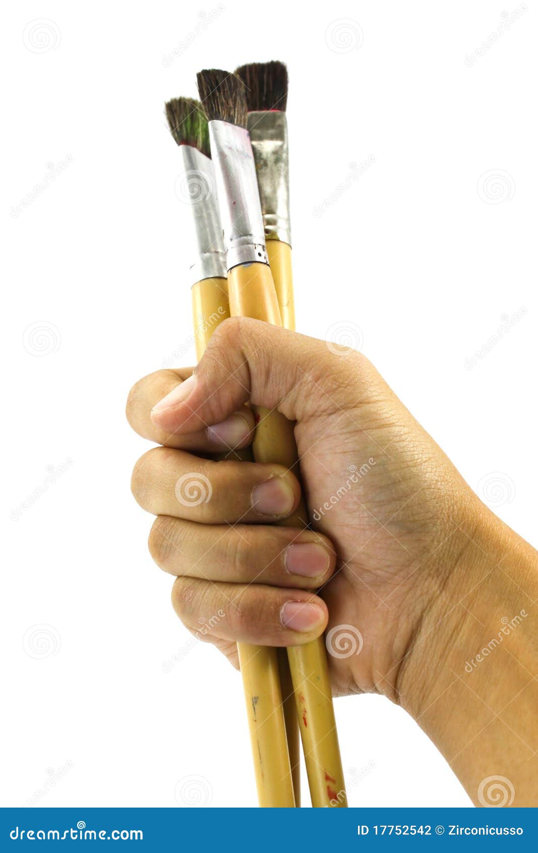 Hand holding paint brush stock photo. Image of color - 17752542