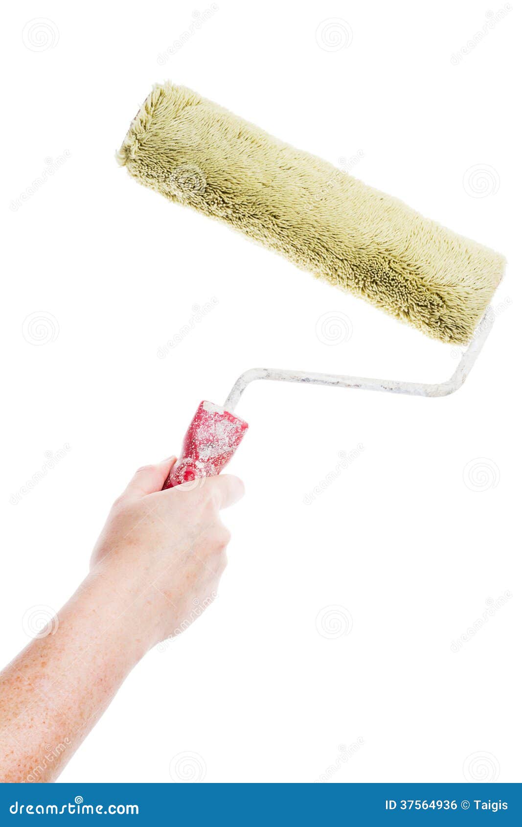 Hand holding paint roller stock photo. Image of cotton - 37564936