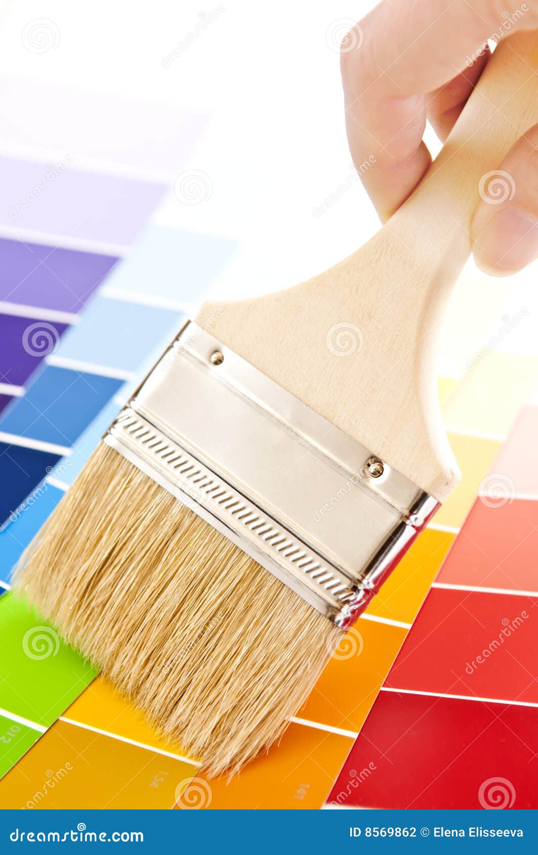 Hand holding paintbrush stock photo. Image of decorate - 8569862