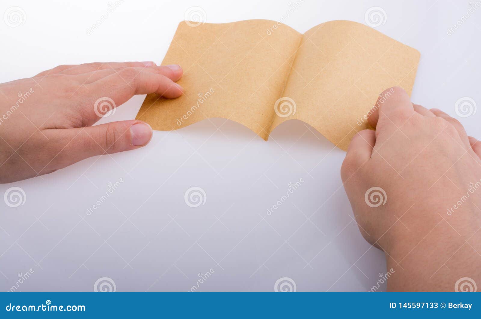Hand holding a paper stock image. Image of isolated - 145597133