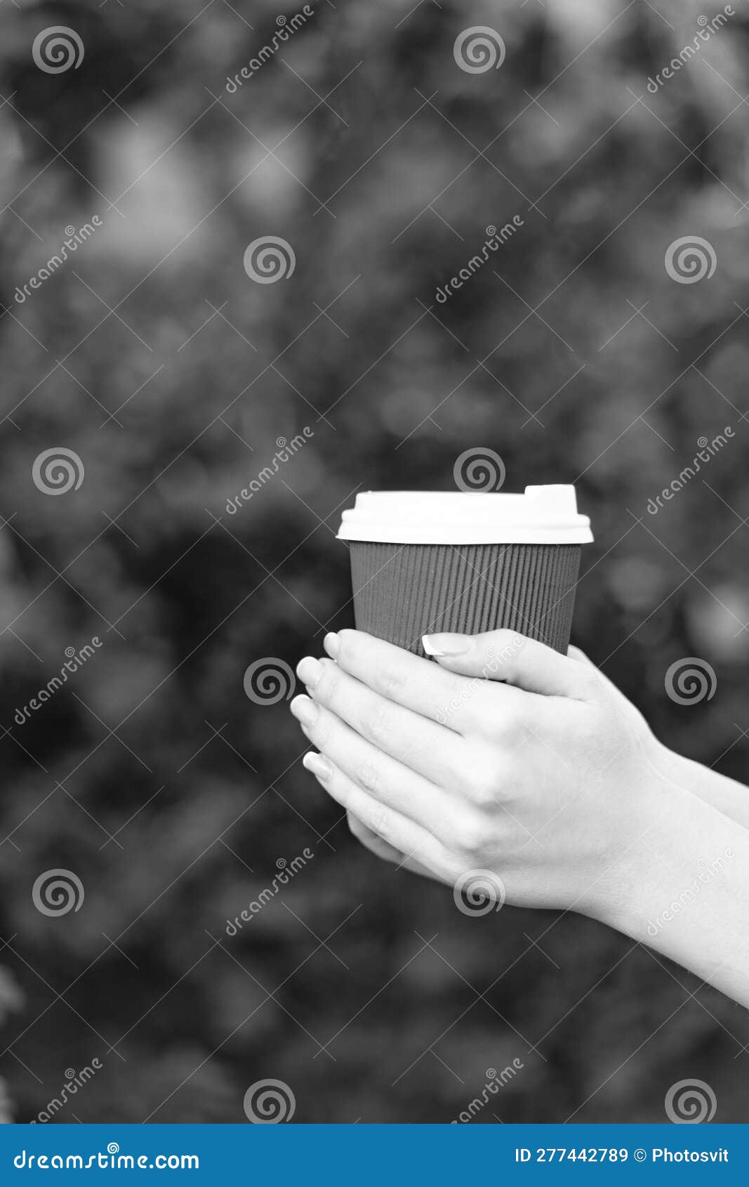 Hand Holding Paper Takeaway Morning Coffee Cup Stock Image - Image of ...