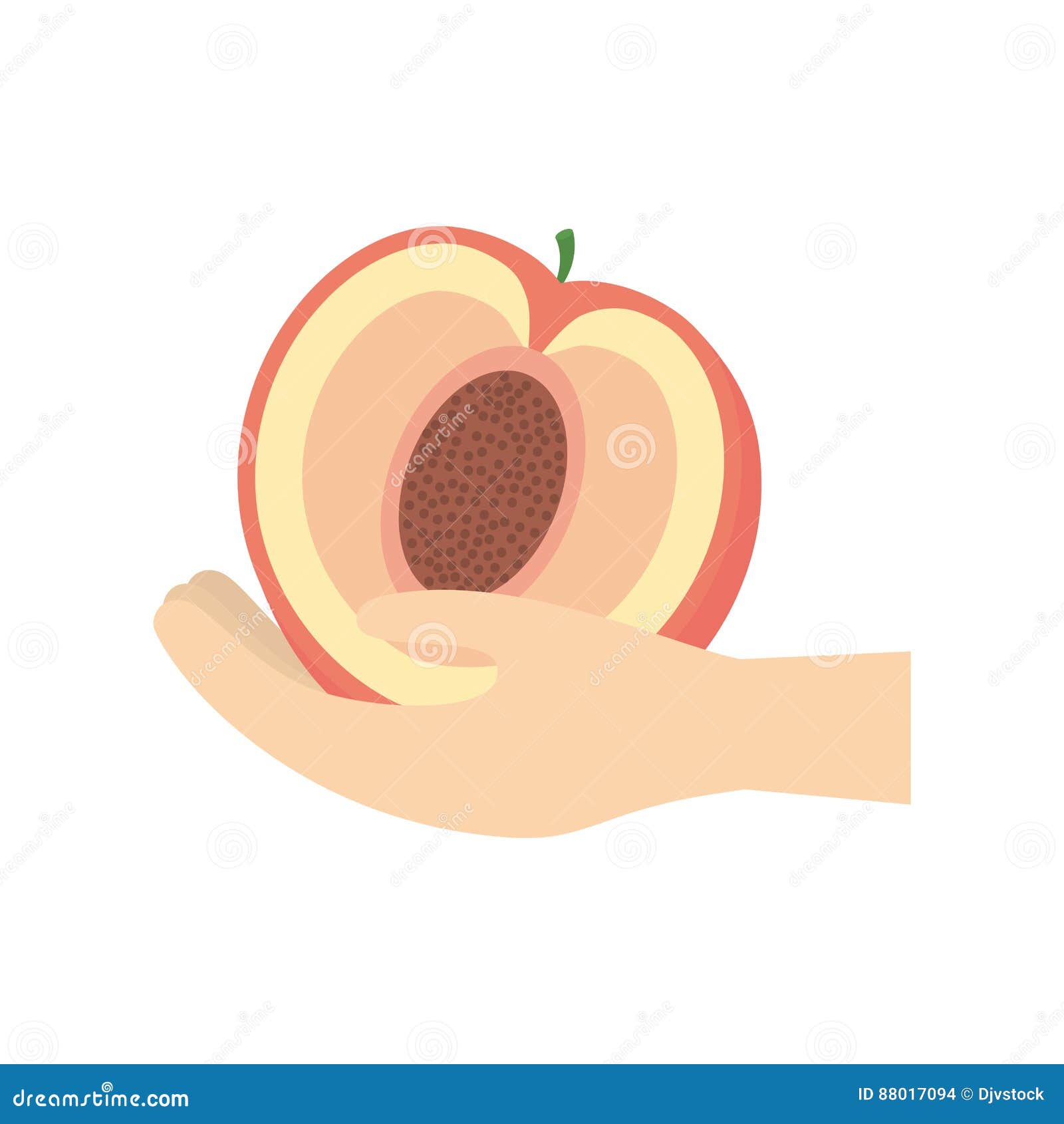 Hand holding peach fruit stock illustration. Illustration of nature ...