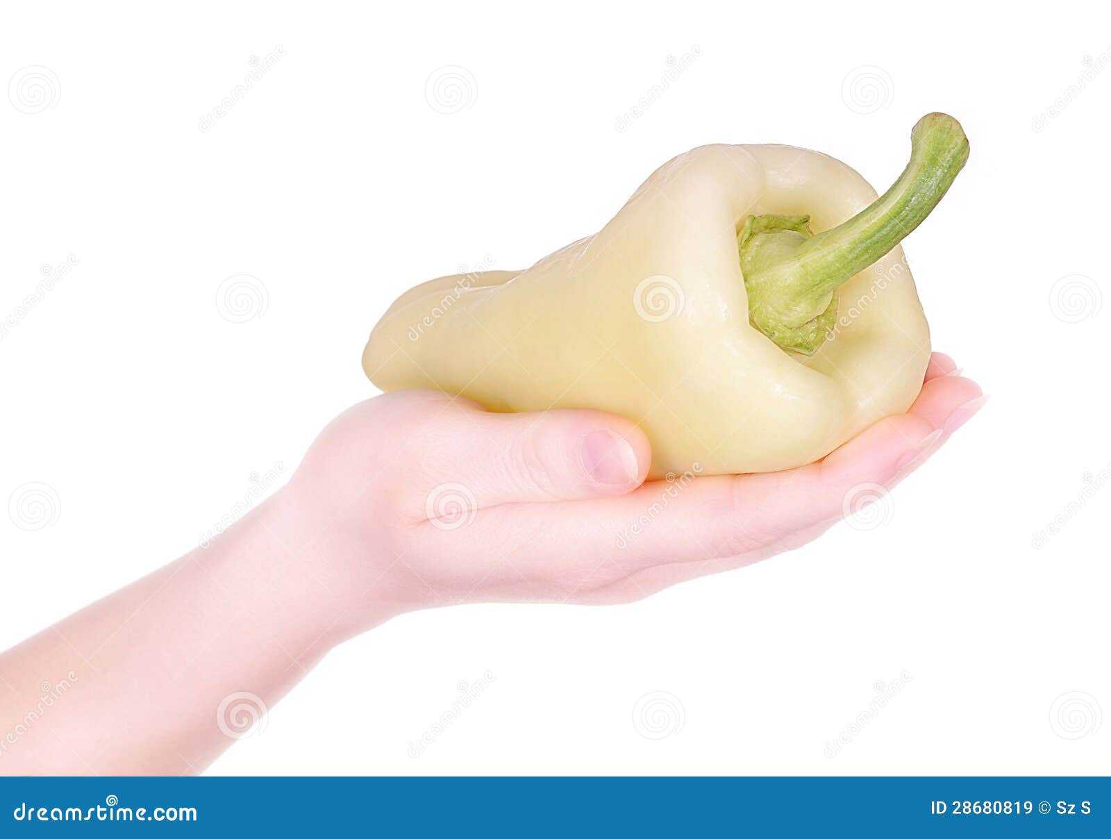 Hand holding pepper stock image. Image of healthy, seasoning - 28680819