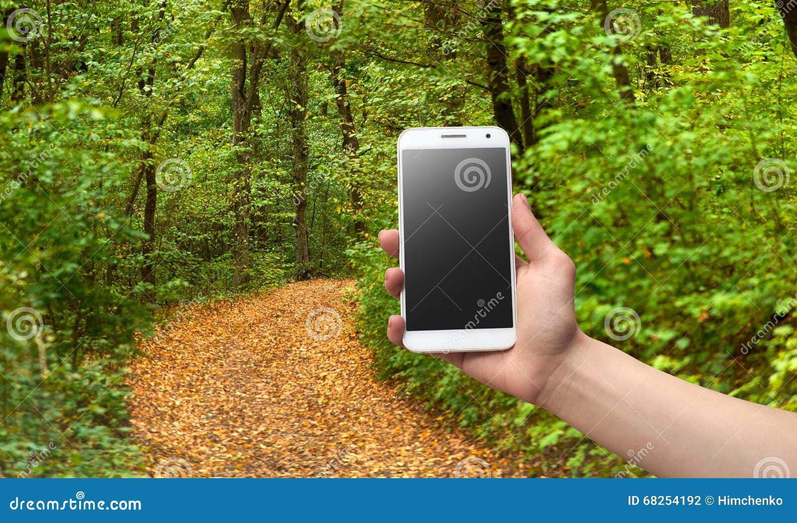 Hand Holding the Phone in a Forest Stock Photo - Image of trendy ...