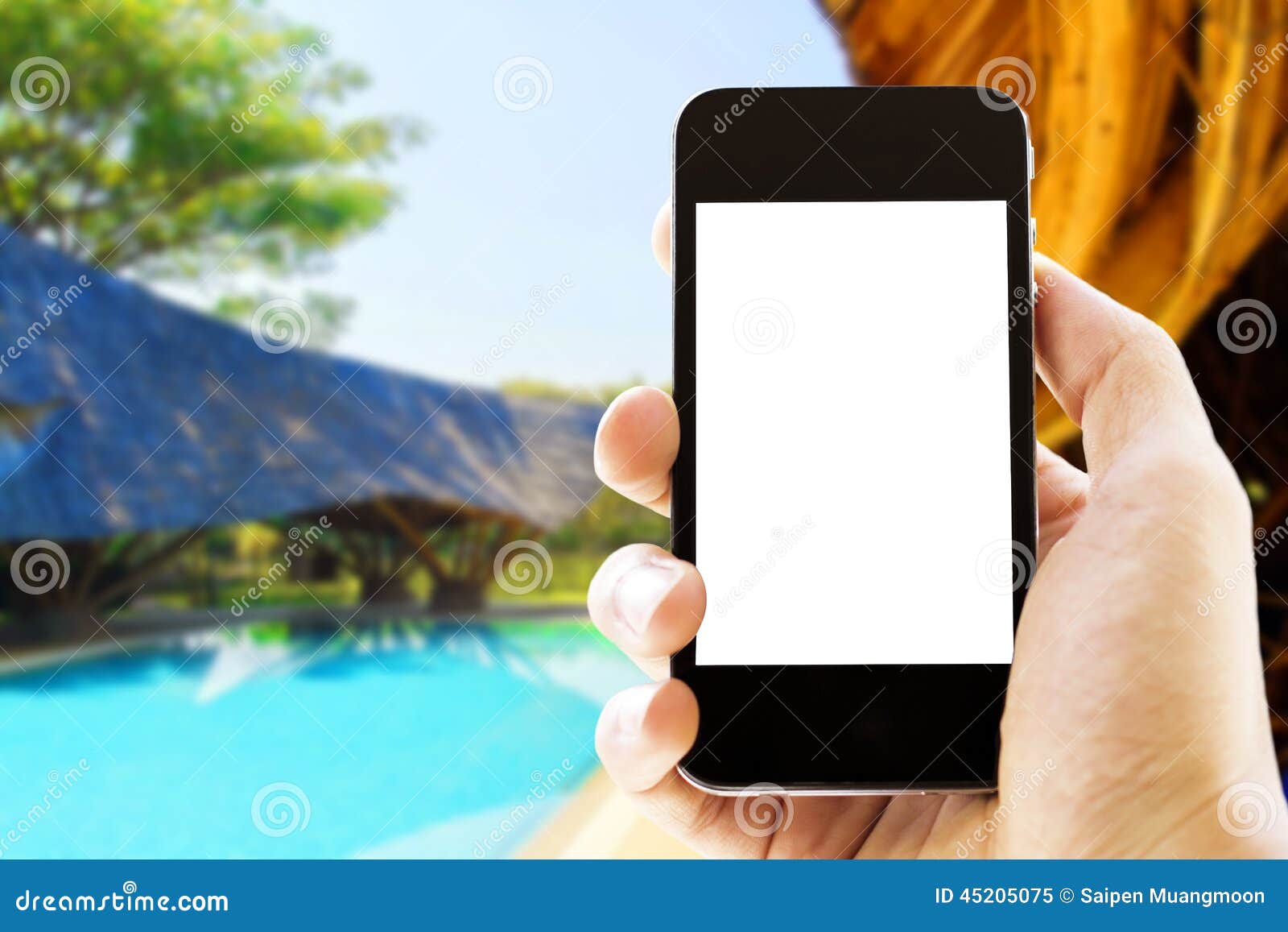 154 Hand Holding Phone Swimming Pool Background Photos - Free & Royalty ...