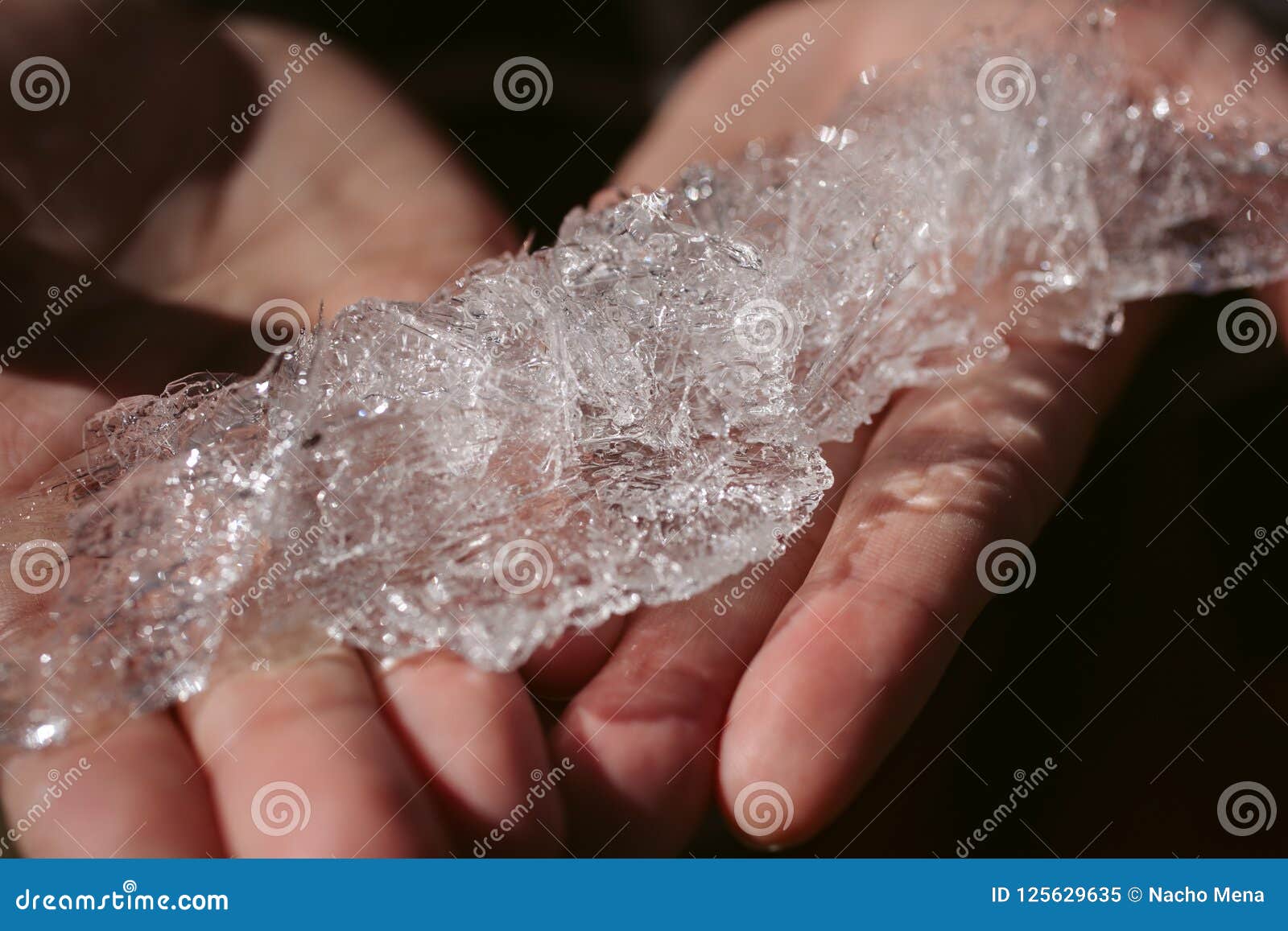 Hand Holding a Piece Glacial Ice. Macro View of Ice in Hand Stock Image ...