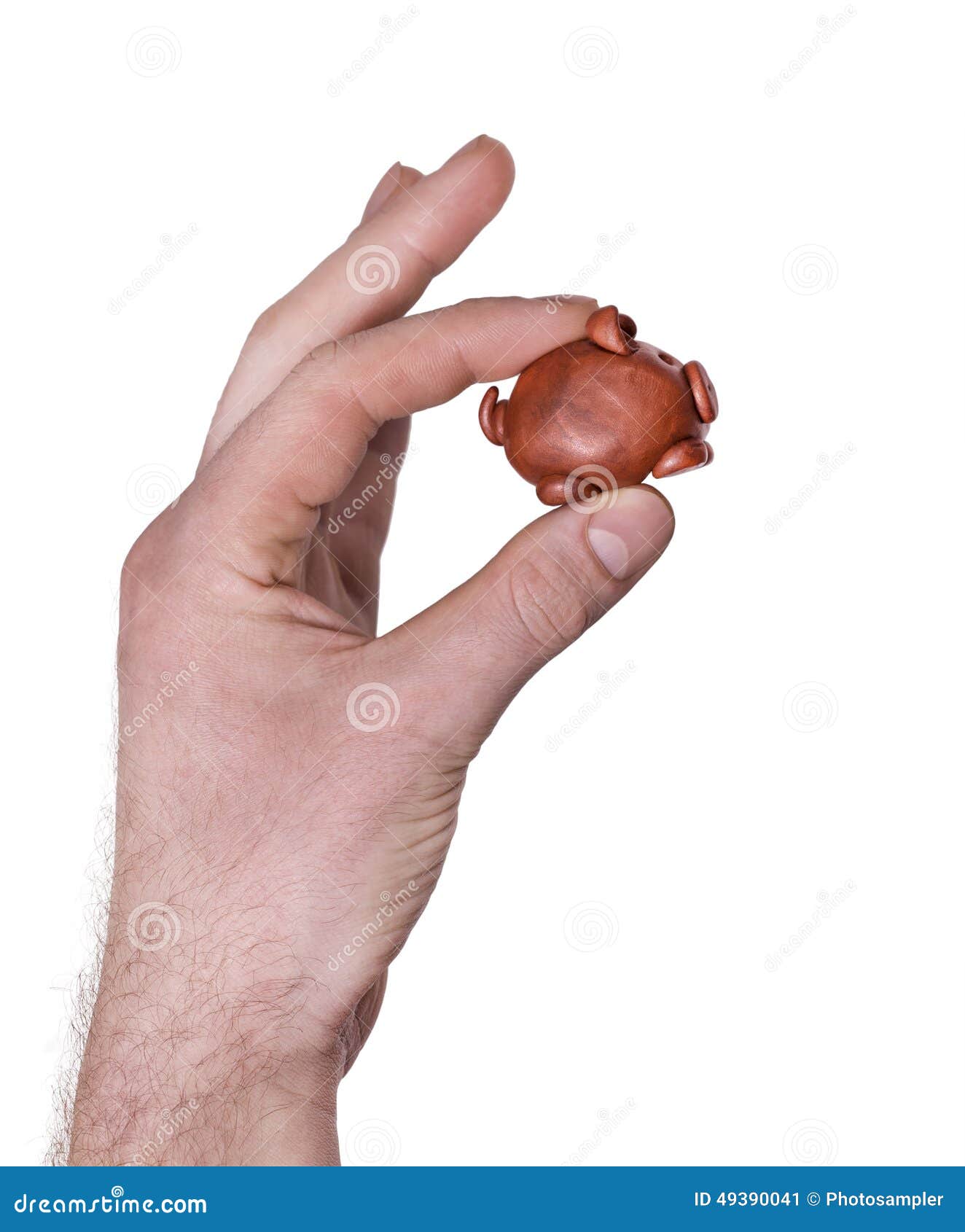 Hand holding piggy stock image. Image of finances, bacon - 49390041