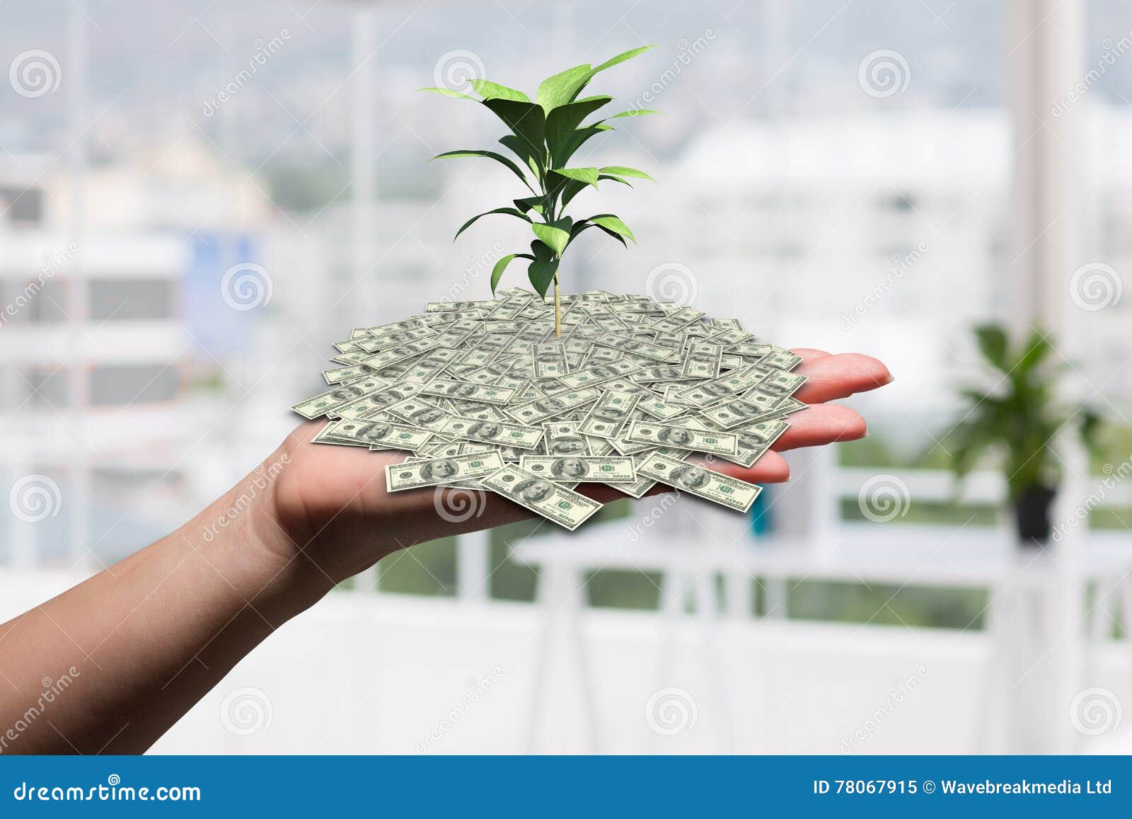 Hand Holding Plant Growing from Money Stack Stock Image - Image of ...