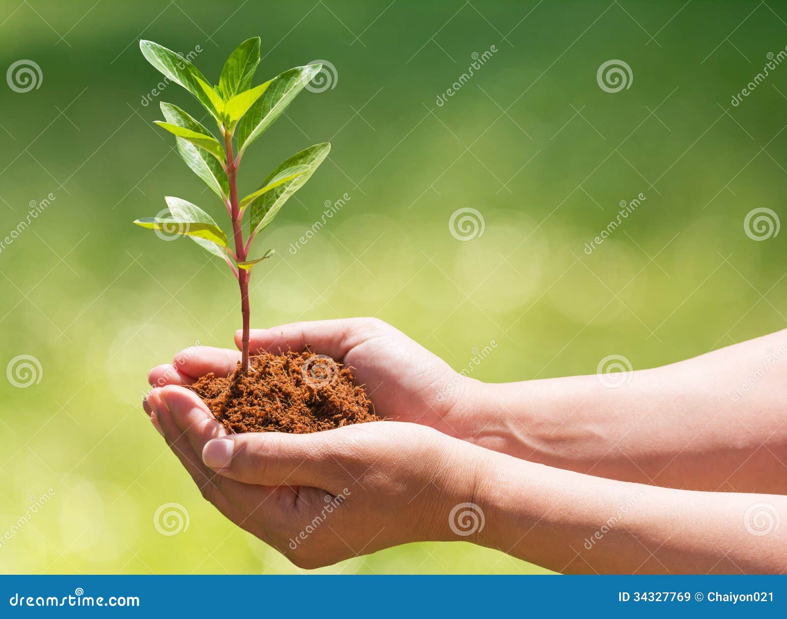 5,432 Hand Planting New Tree Photos - Free & Royalty-Free Stock Photos ...