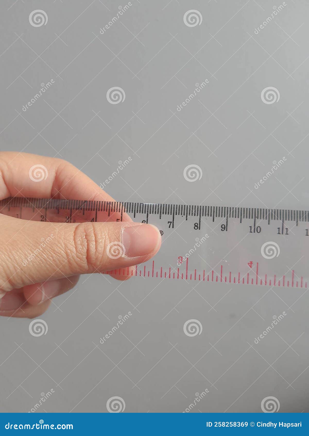 A Hand is Holding a Plastic Ruler Stock Image - Image of geometric ...
