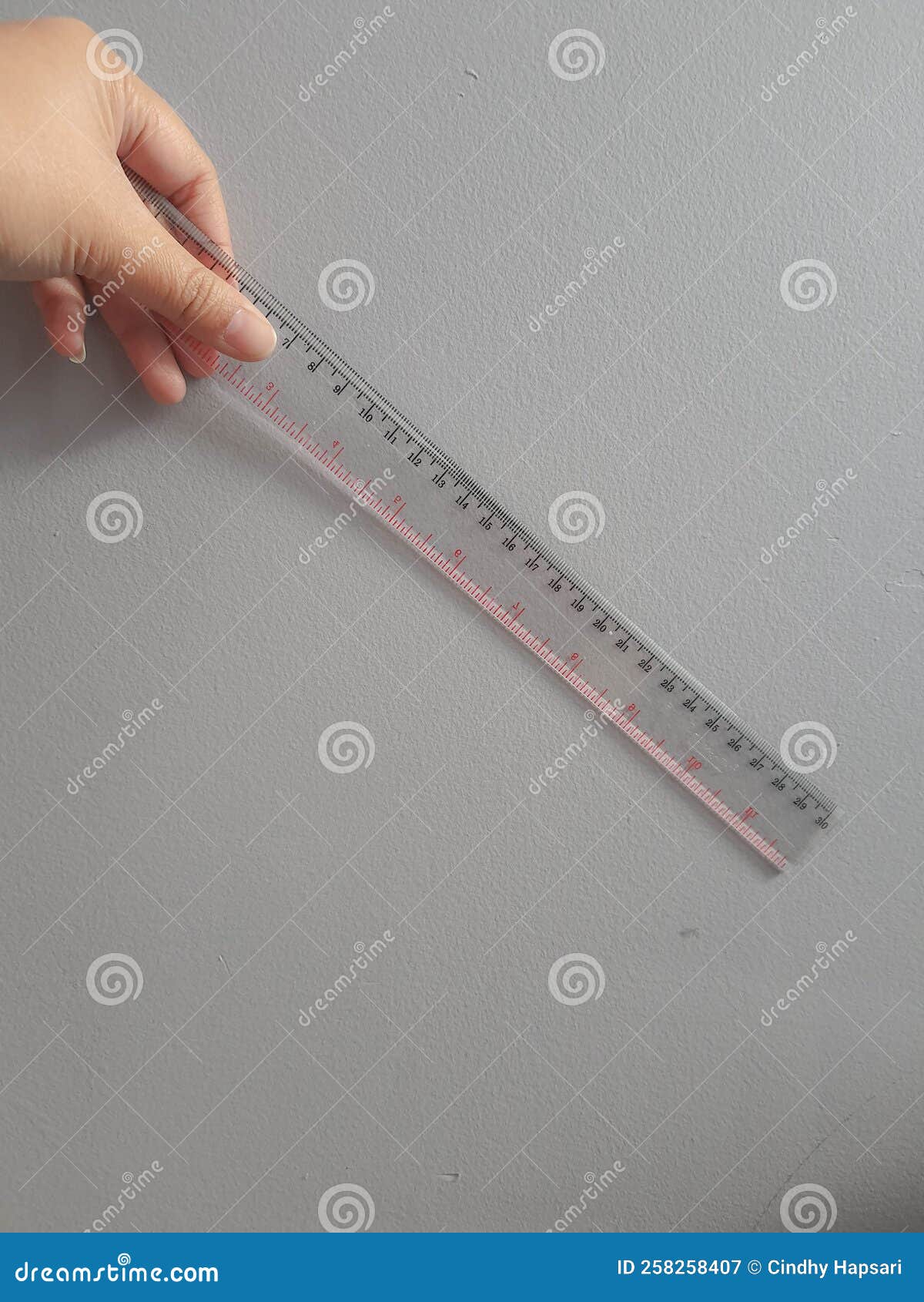 A Hand is Holding a Plastic Ruler Stock Image - Image of educational ...