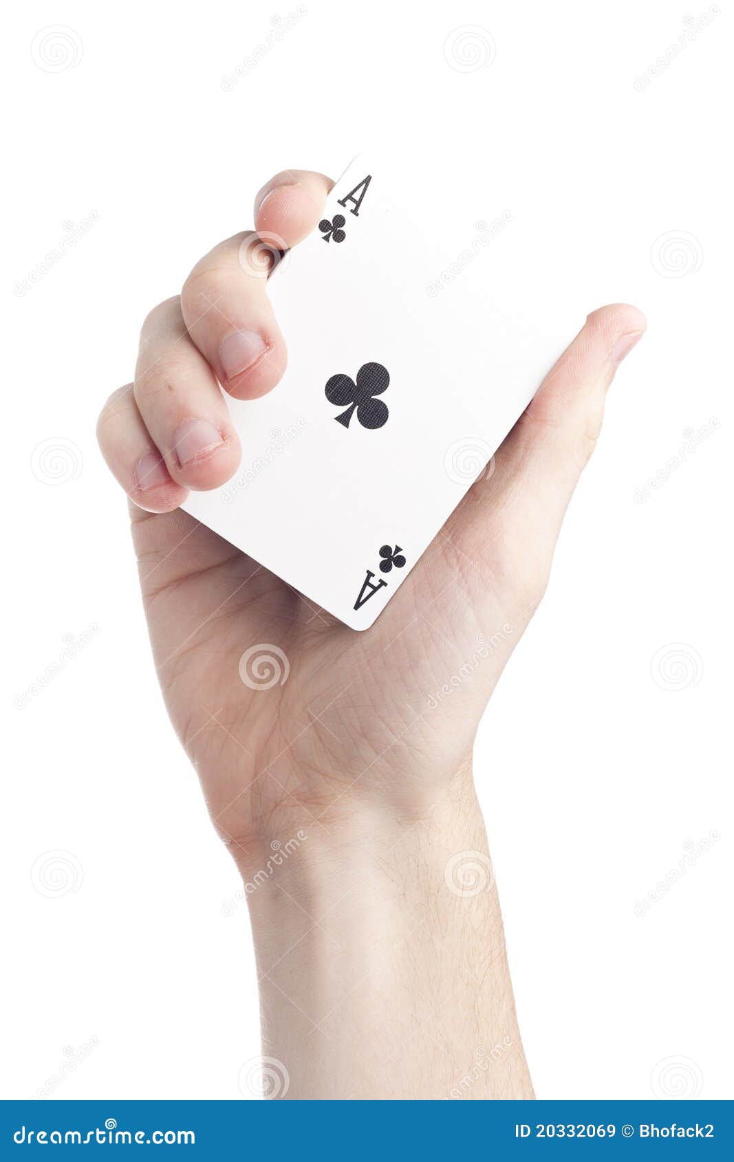 A Hand Holding Playing Cards Stock Image - Image of jack, entertainment ...