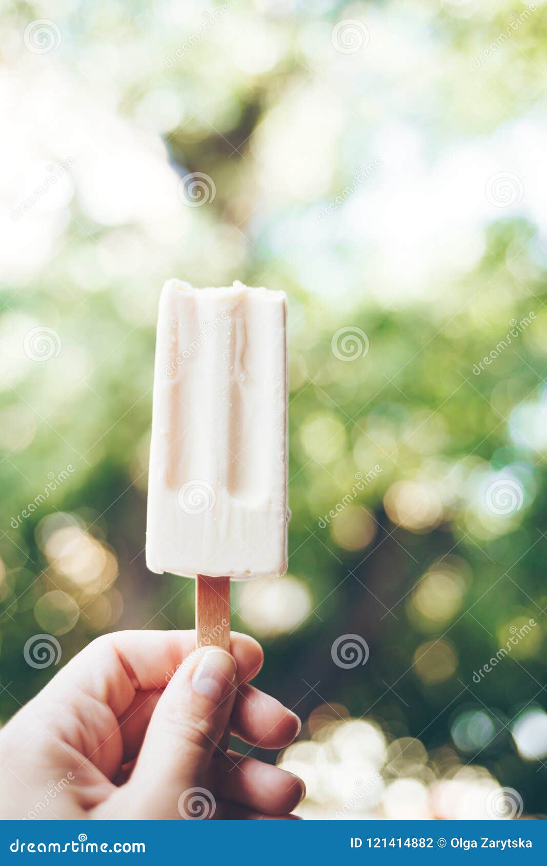 Hand holding popsicle. stock photo. Image of stick, natural - 121414882