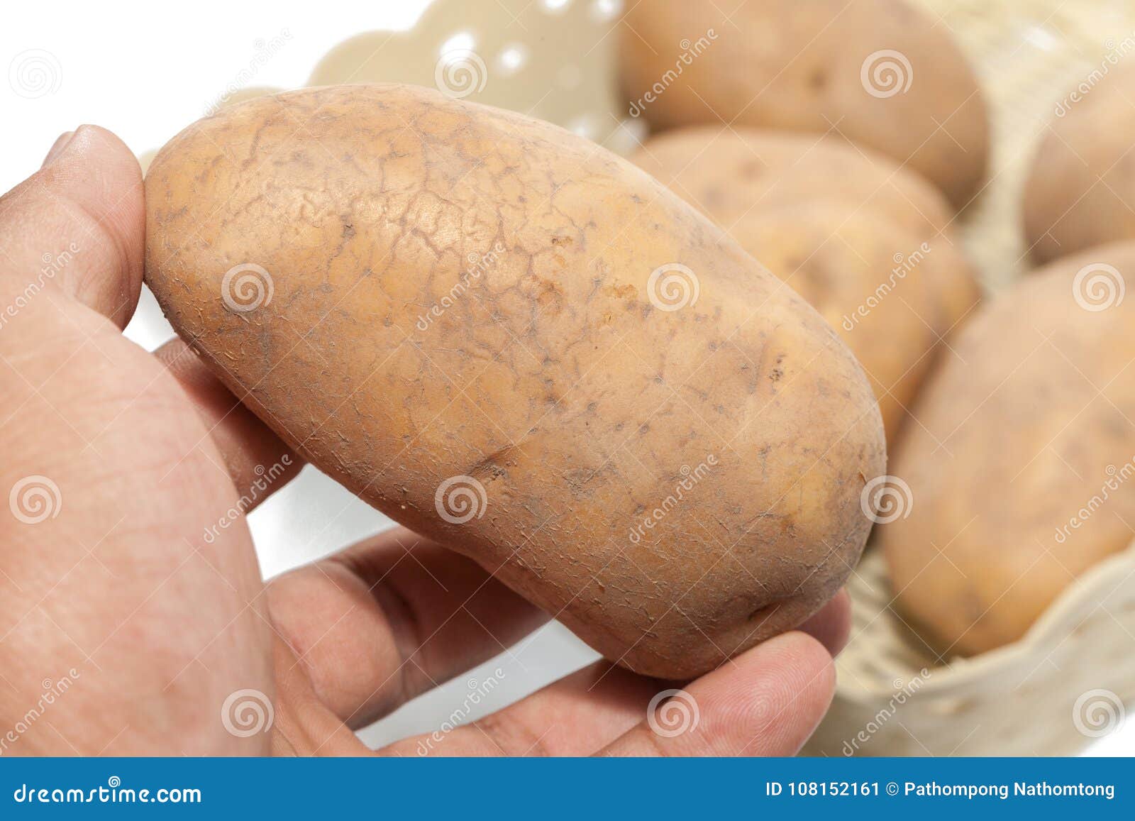 Hand holding potato stock image. Image of cupped, fried - 108152161