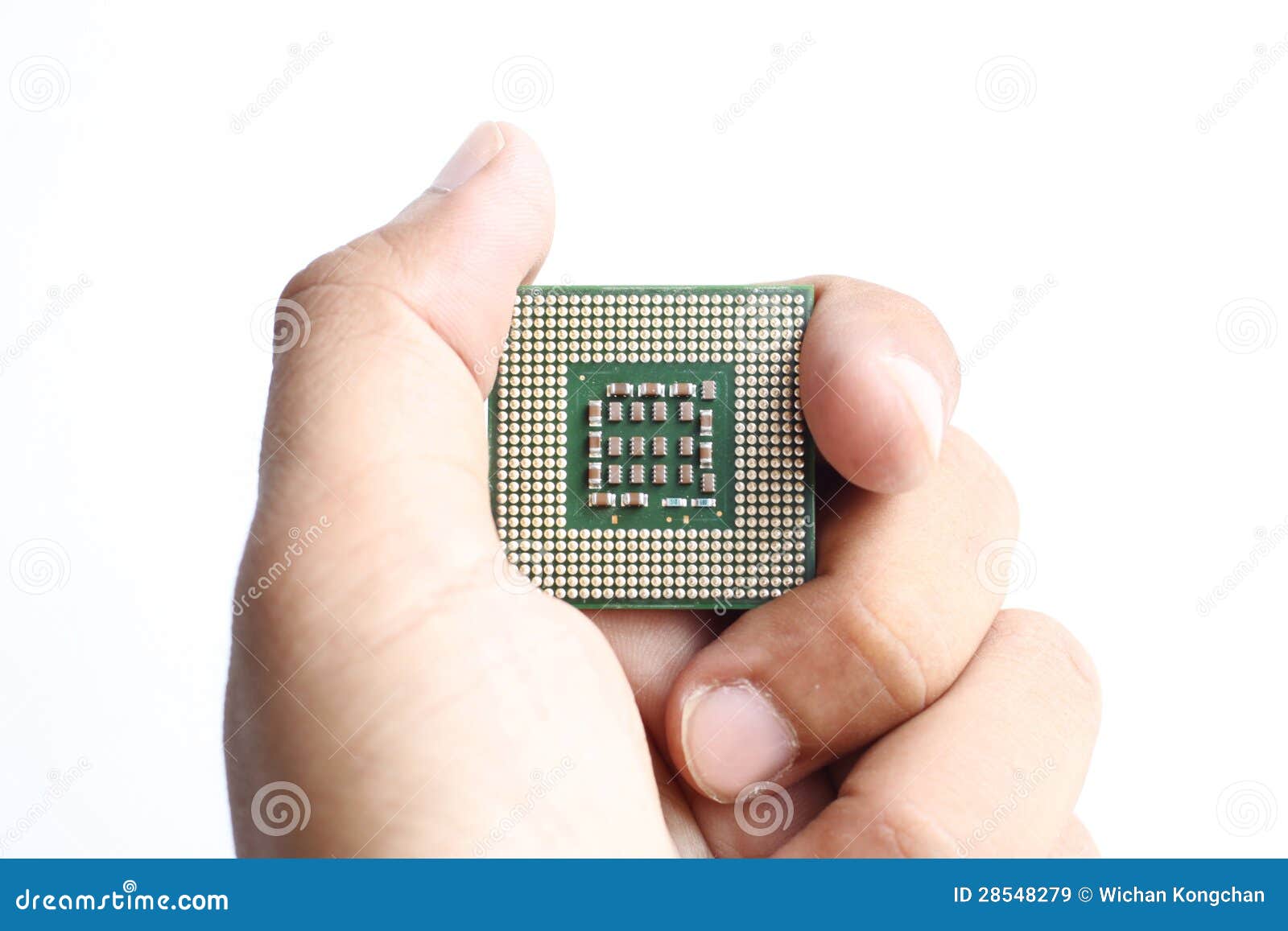 Hand holding processor stock image. Image of circuit - 28548279