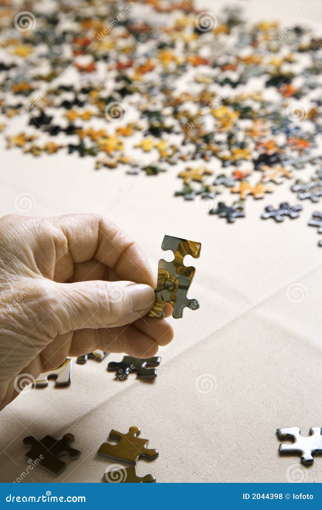 Hand holding puzzle piece. stock photo. Image of leisure - 2044398