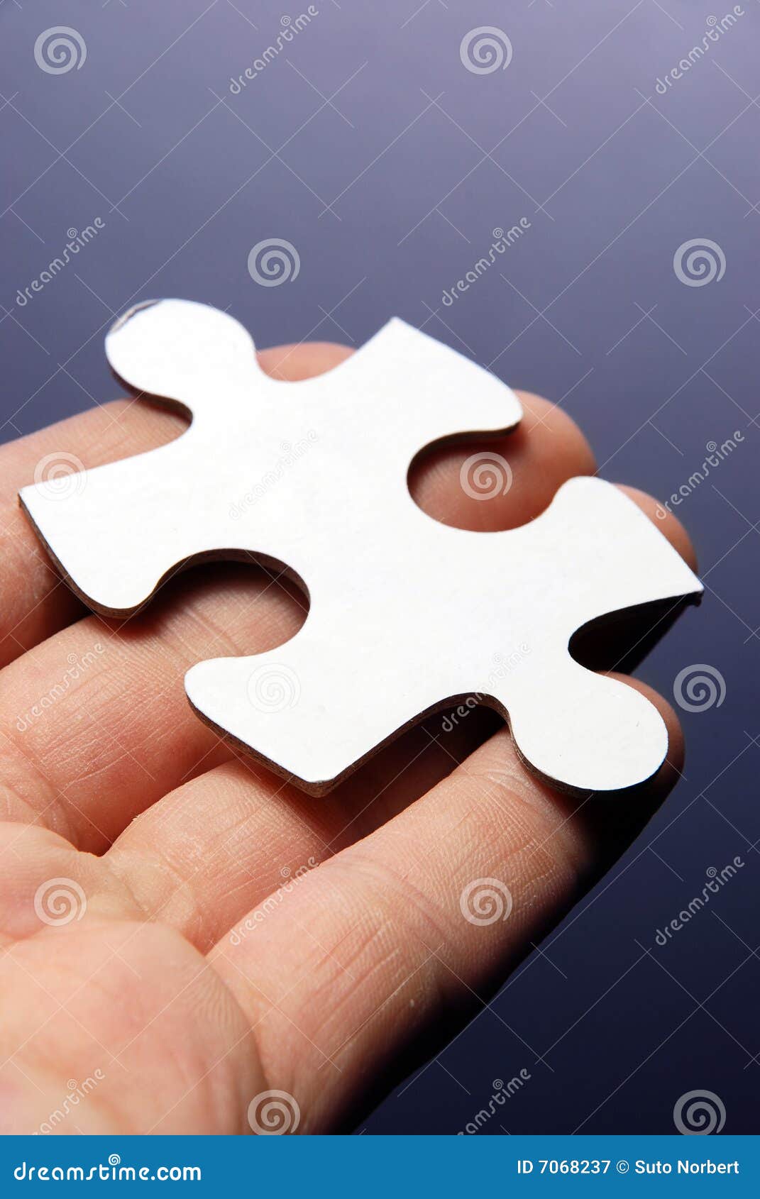 Hand Holding a Puzzle Piece Stock Image - Image of concept, build: 7068237