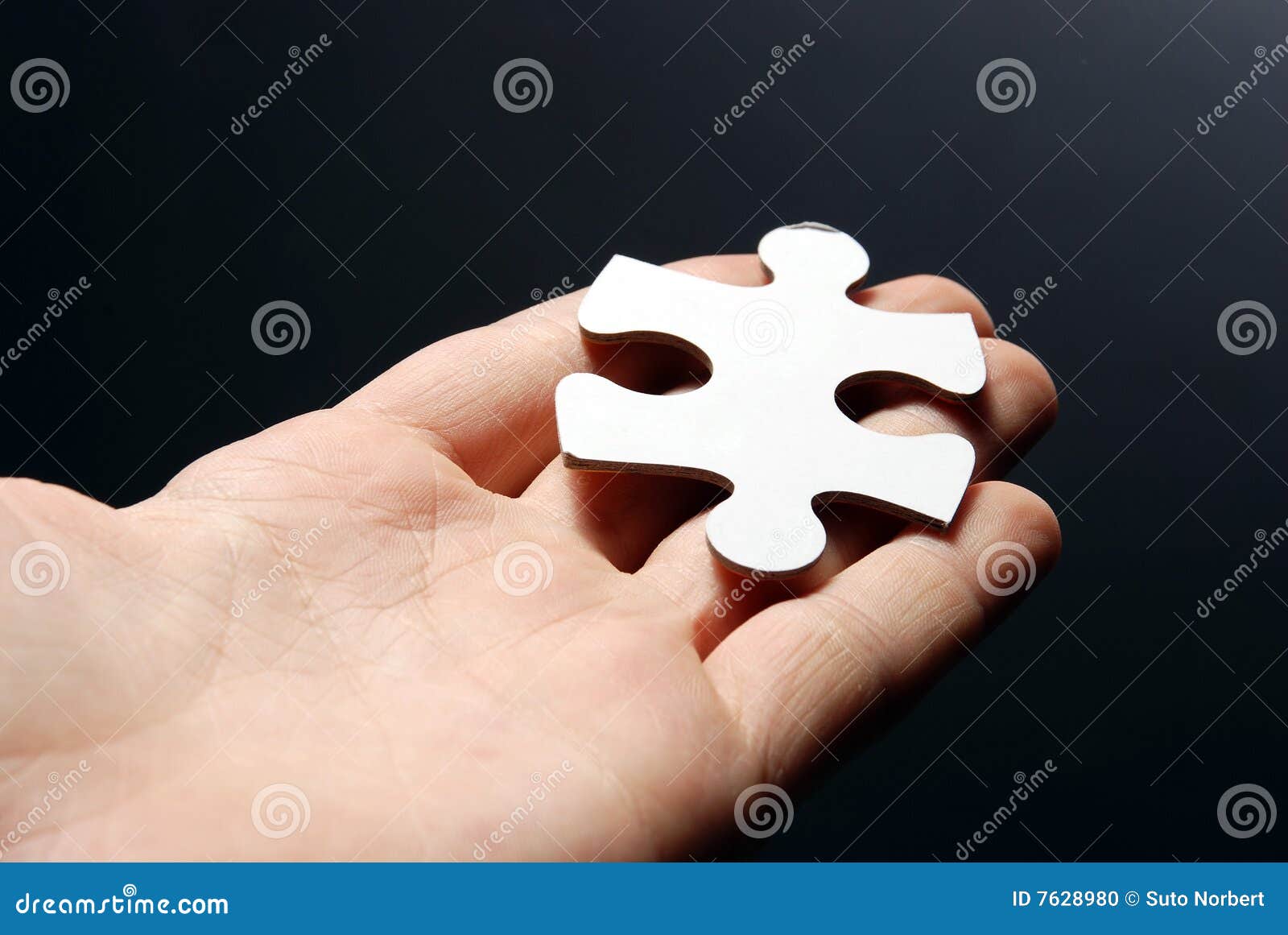 Hand Holding a Puzzle Piece Stock Photo - Image of solve, assemble: 7628980
