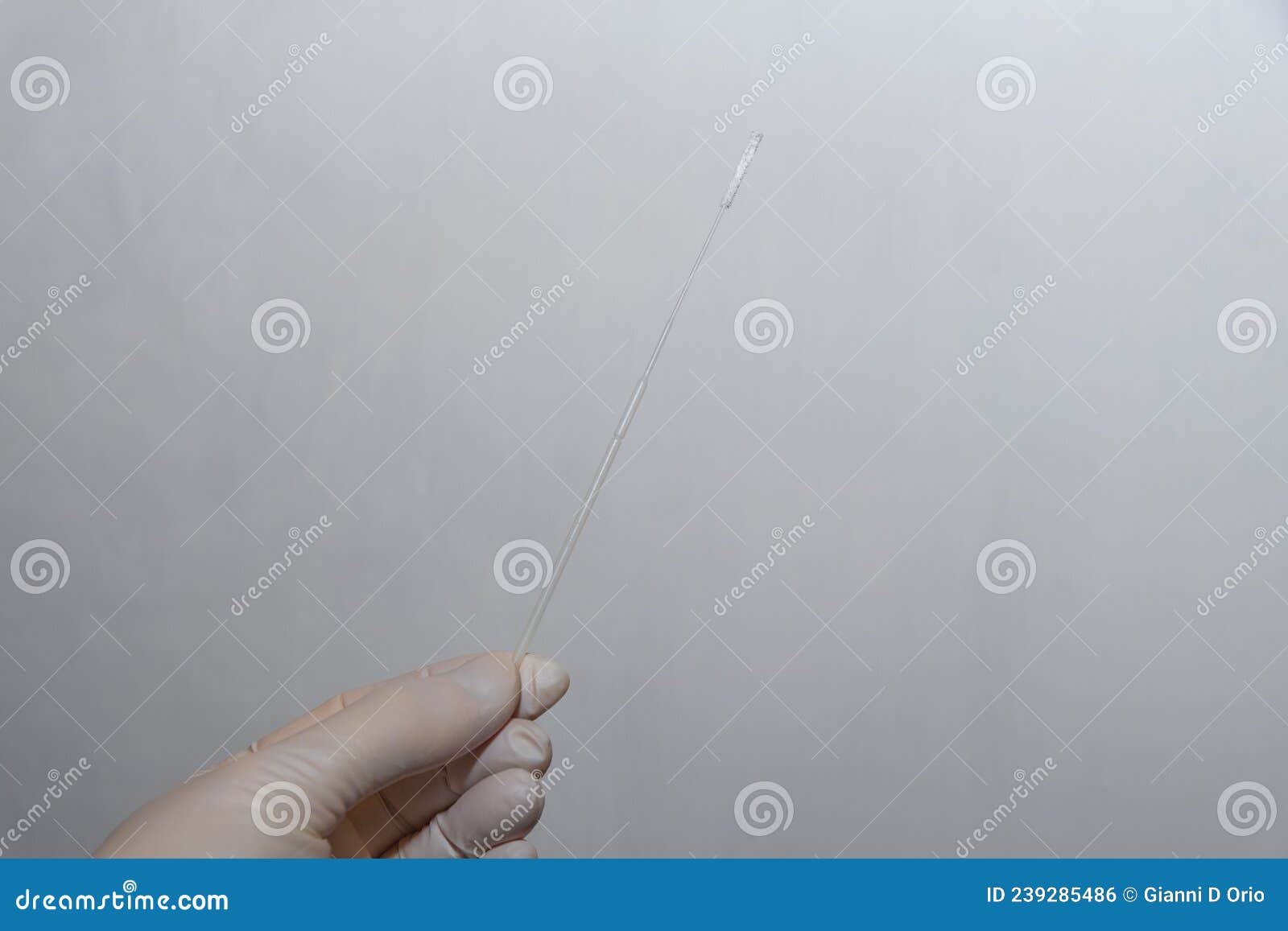 Hand Holding Quick Flu Test Swab Stock Photo - Image of check ...