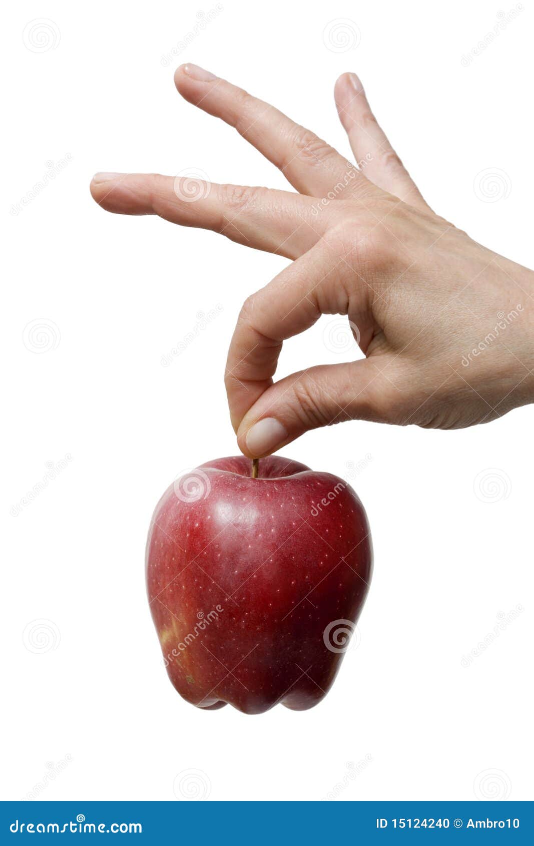 Hand holding a red apple stock photo. Image of body, holding - 15124240