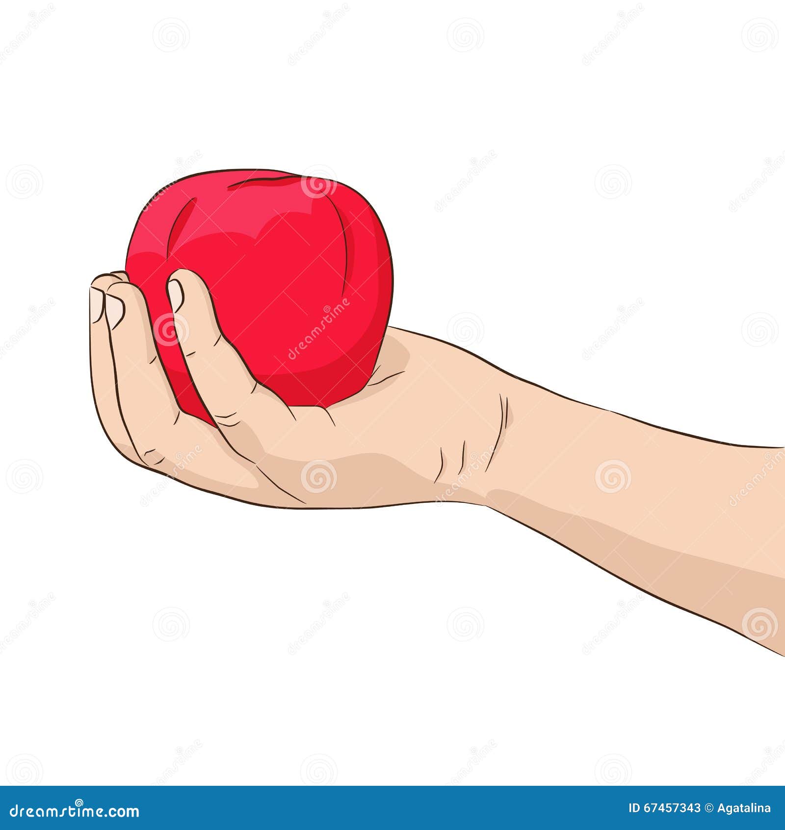 Hand holding red apple stock vector. Illustration of symbol - 67457343