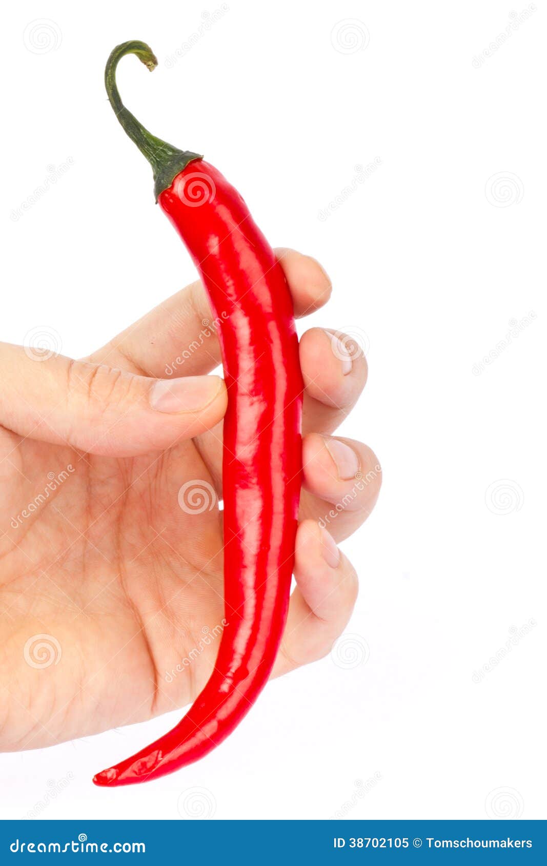 Hand Holding a Red Hot Chili Pepper Stock Image - Image of healthful ...