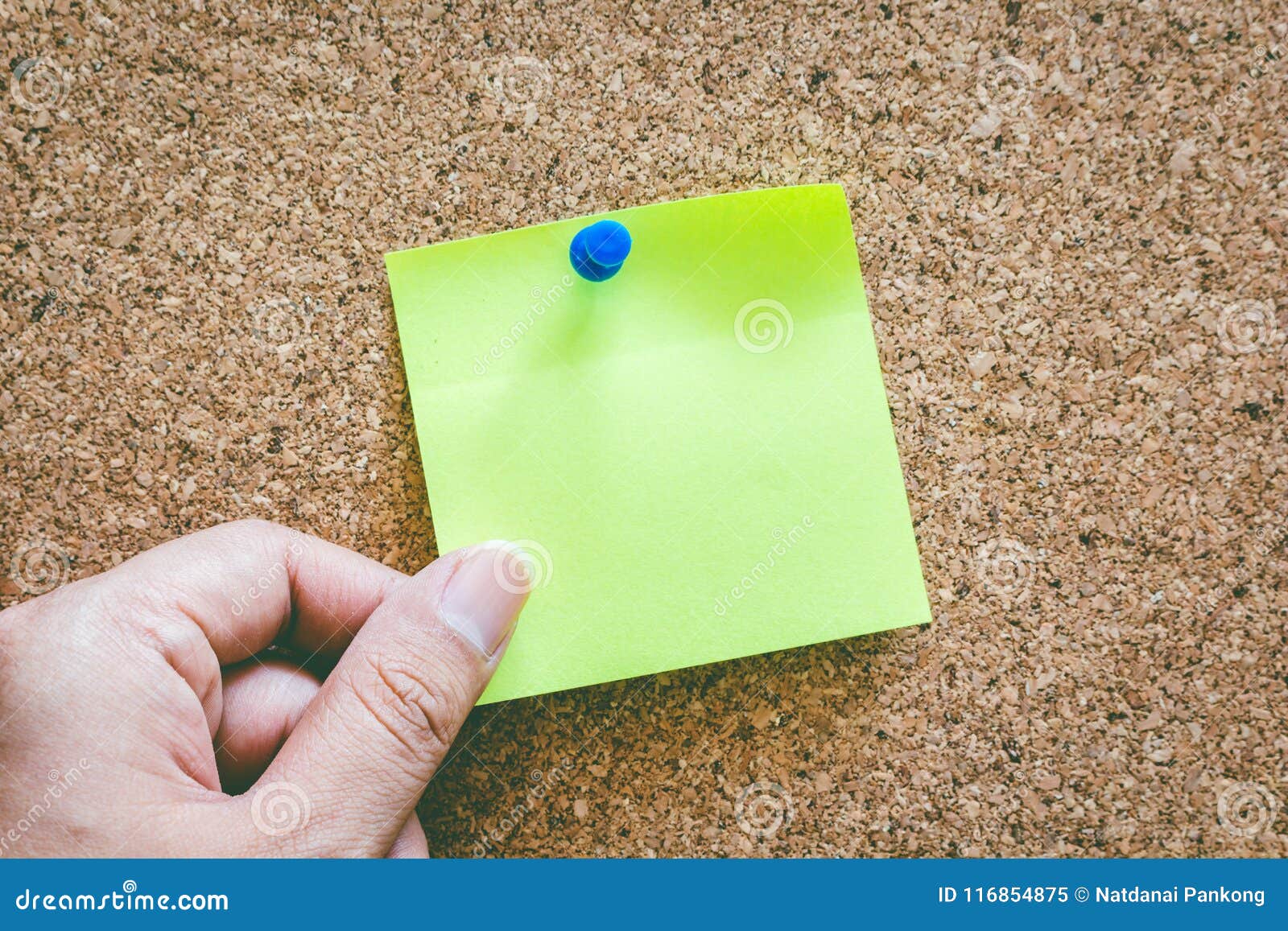 Hand Holding Reminder Sticky Note on Cork Board Stock Image - Image of ...