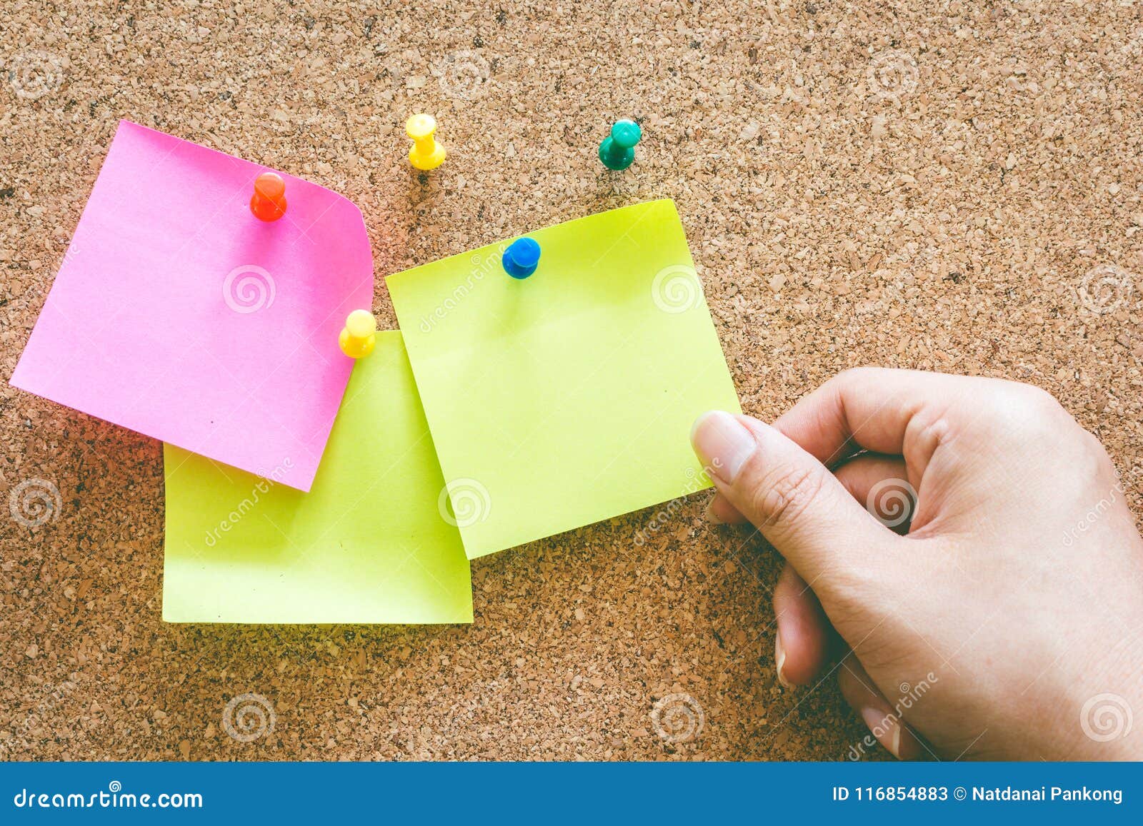 Hand Holding Reminder Sticky Note on Cork Board Stock Image - Image of ...
