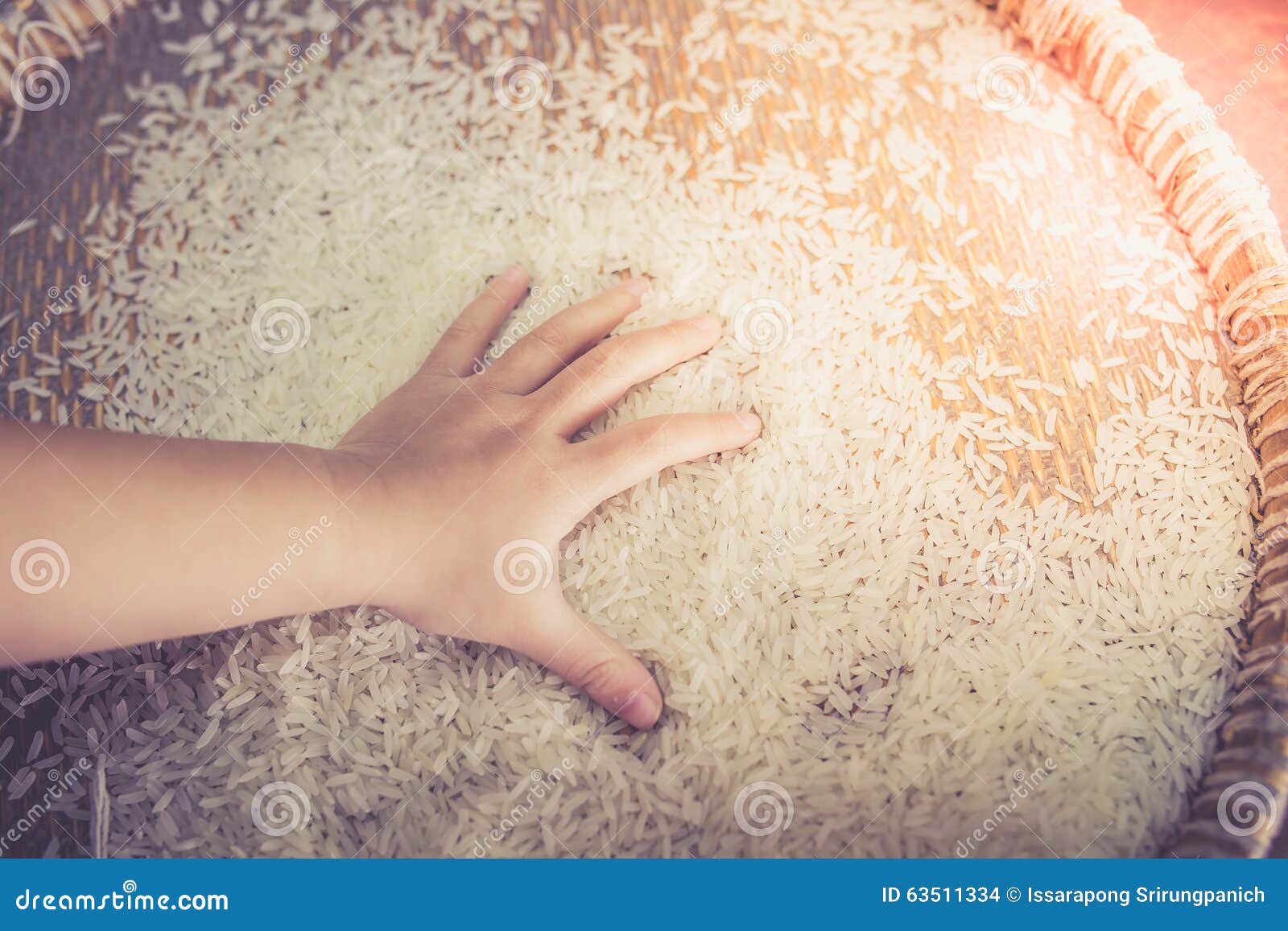 Hand holding rice stock photo. Image of food, holding - 63511334